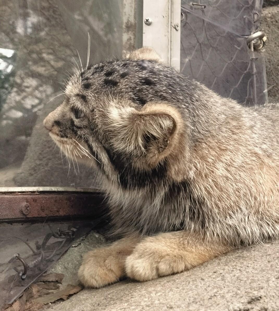 tomoのページ | YAMAP / ヤマップ