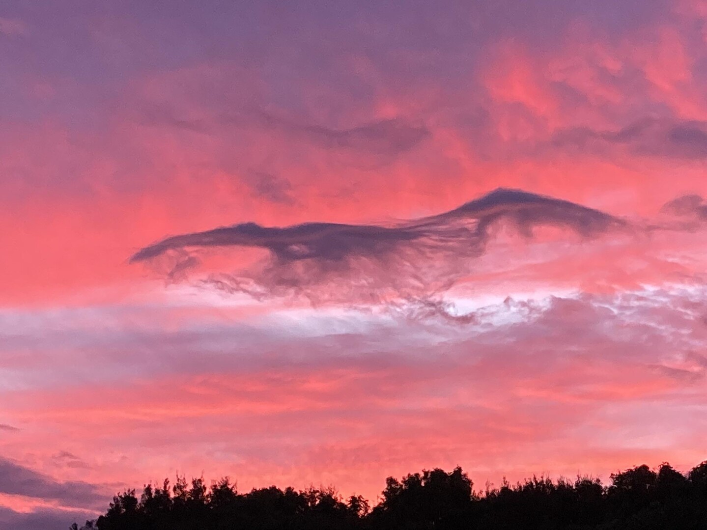 今日の一枚 2024.9.23 ... / hideさんのモーメント | YAMAP / ヤマップ