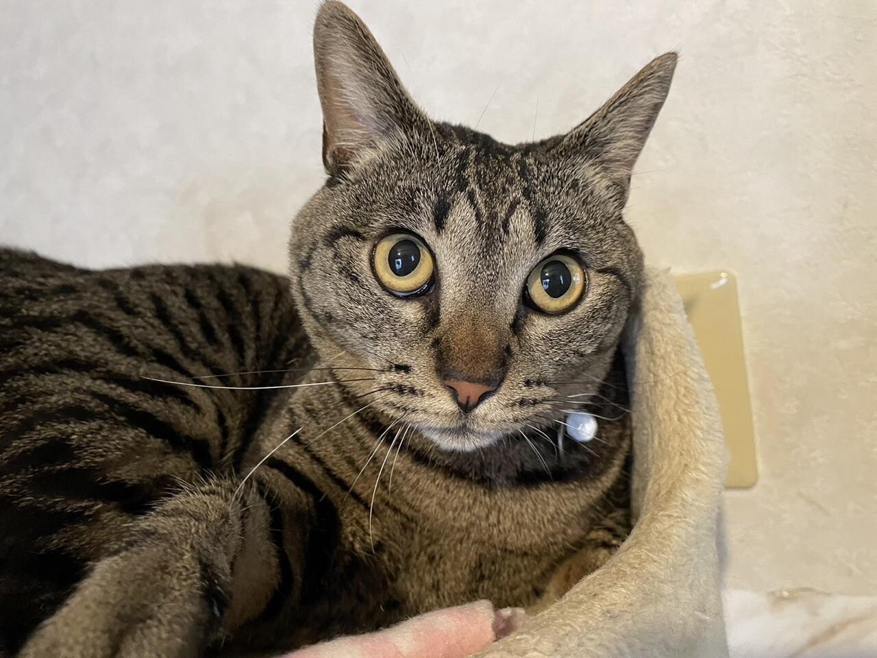 ota660のページ | YAMAP / ヤマップ