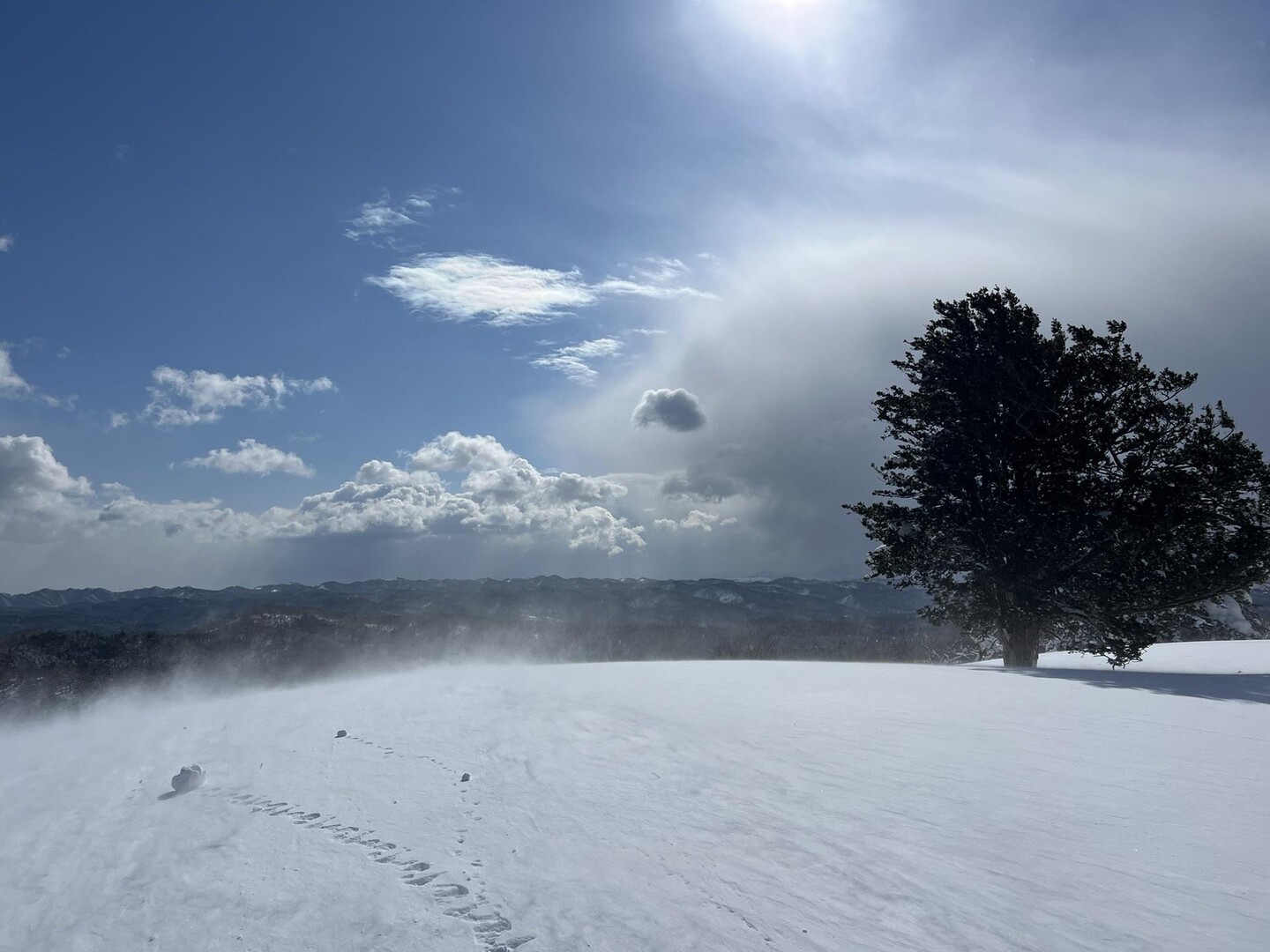 キムンタップコップ岳・トワルタップコップ岳 / rukiさんのトワルタップコップ岳の活動データ | YAMAP / ヤマップ
