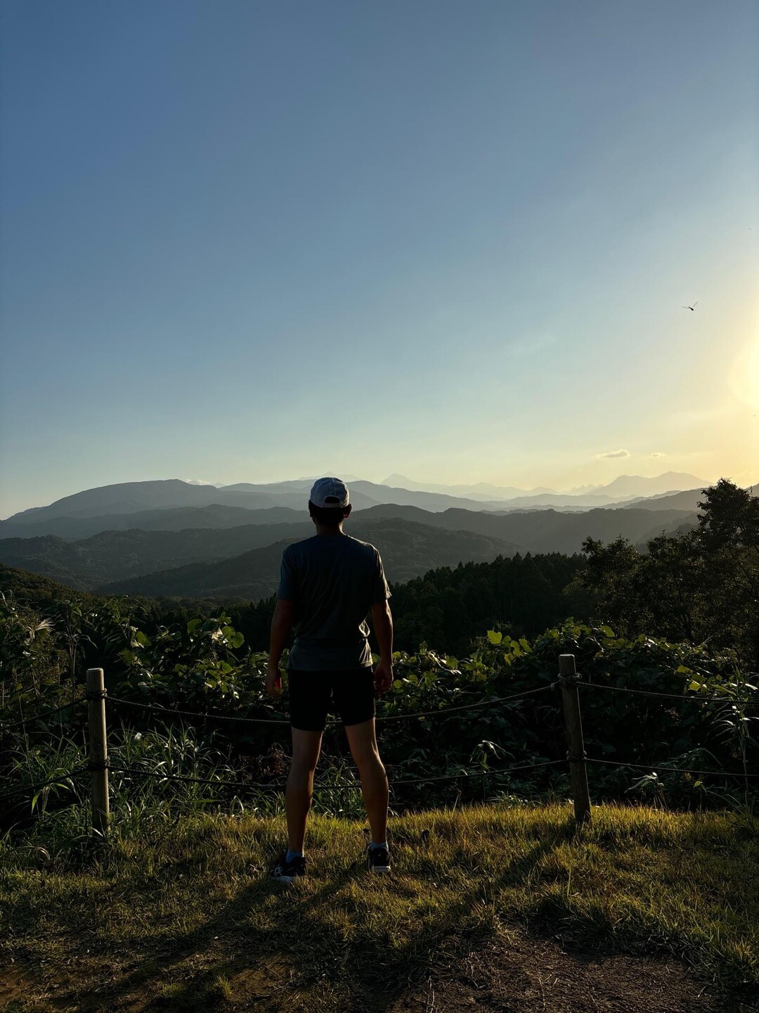 春日山べと上げ♪おかわり🍚 / naokiさんの上越市の活動データ | YAMAP / ヤマップ