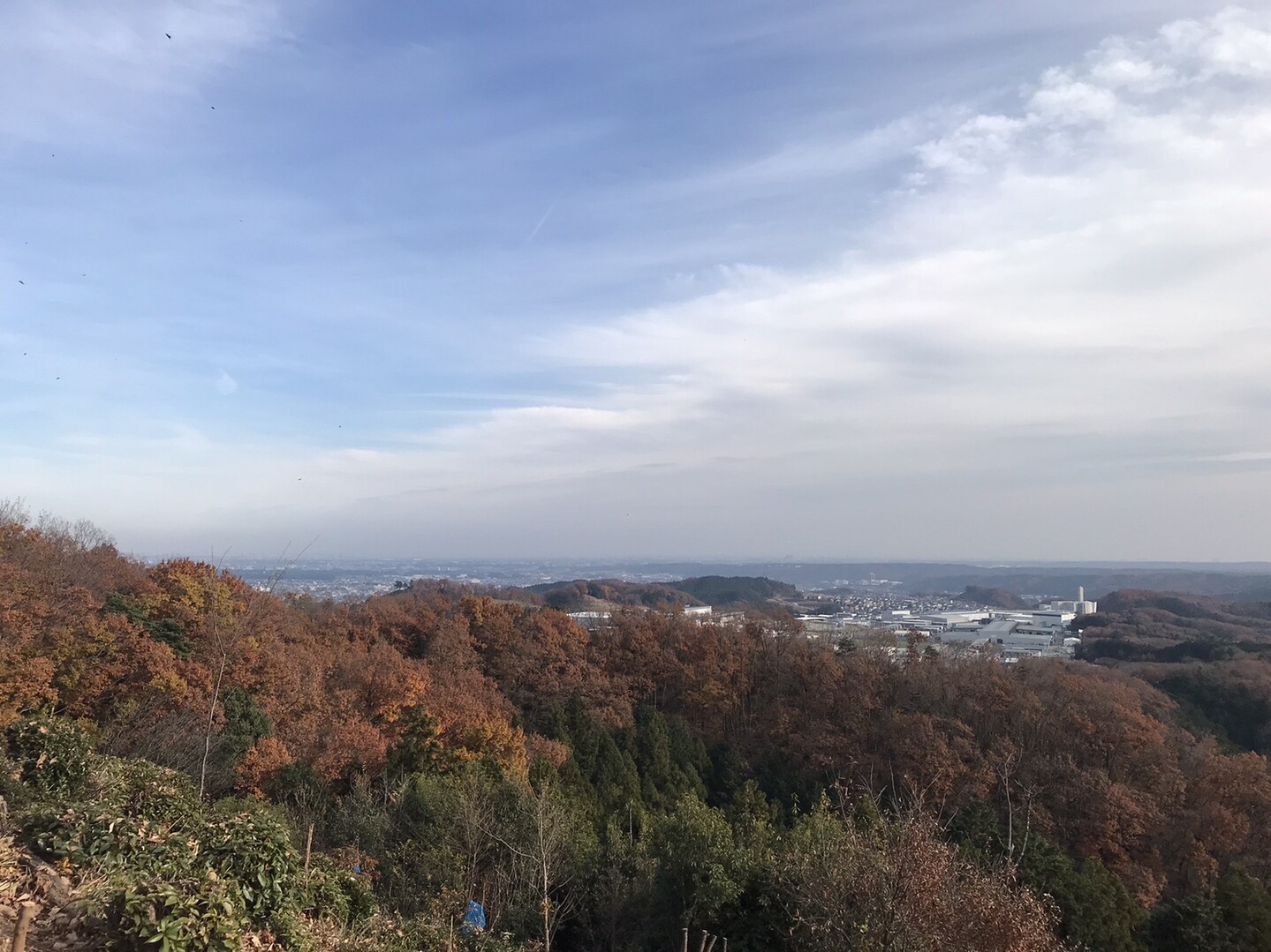 ウォーキング-2020-12-13 / meguさんのウォーキングの活動データ | YAMAP / ヤマップ