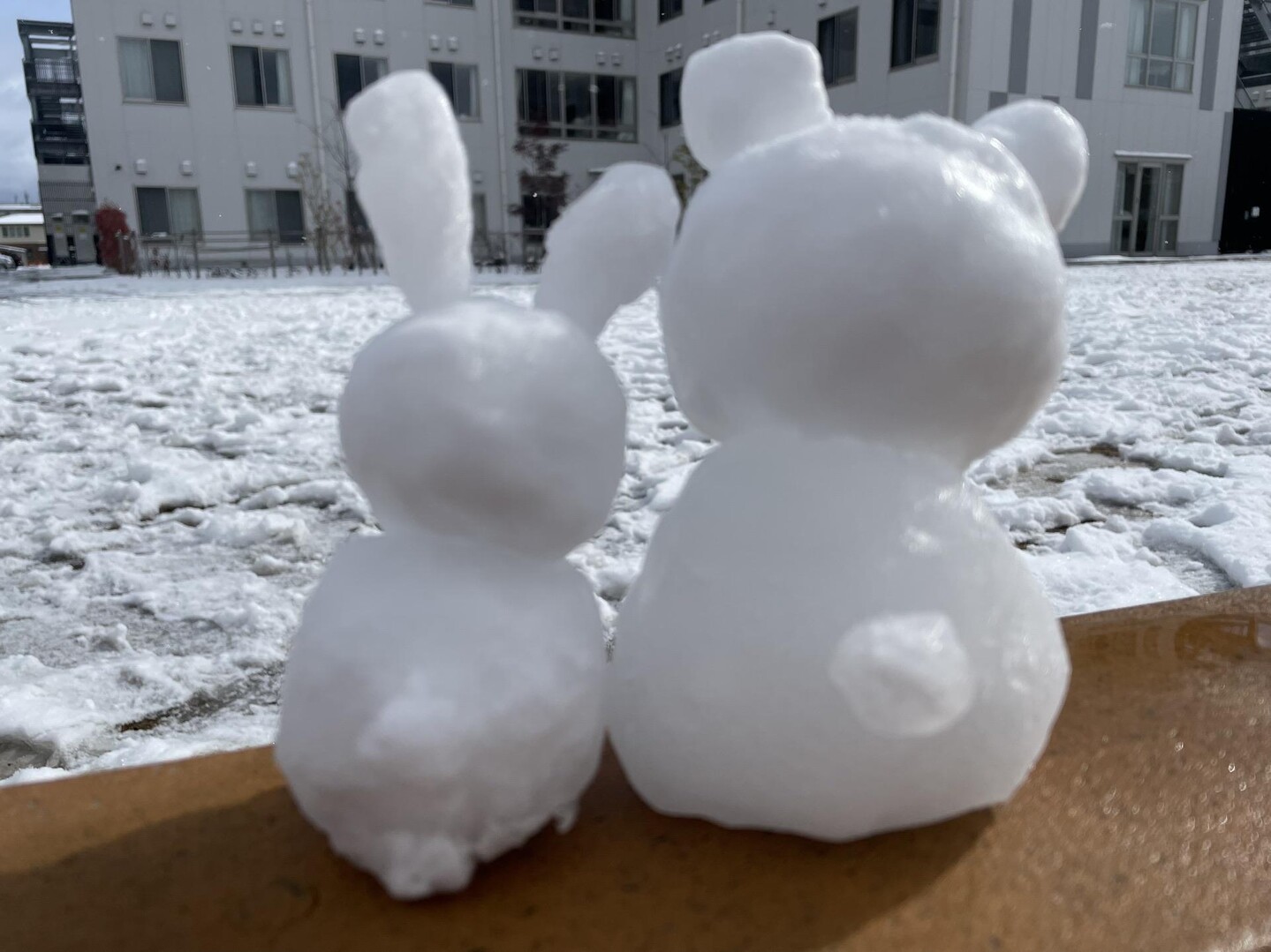 山ではなく、平地ですが雪像です ️ / Mariさんのモーメント | YAMAP / ヤマップ