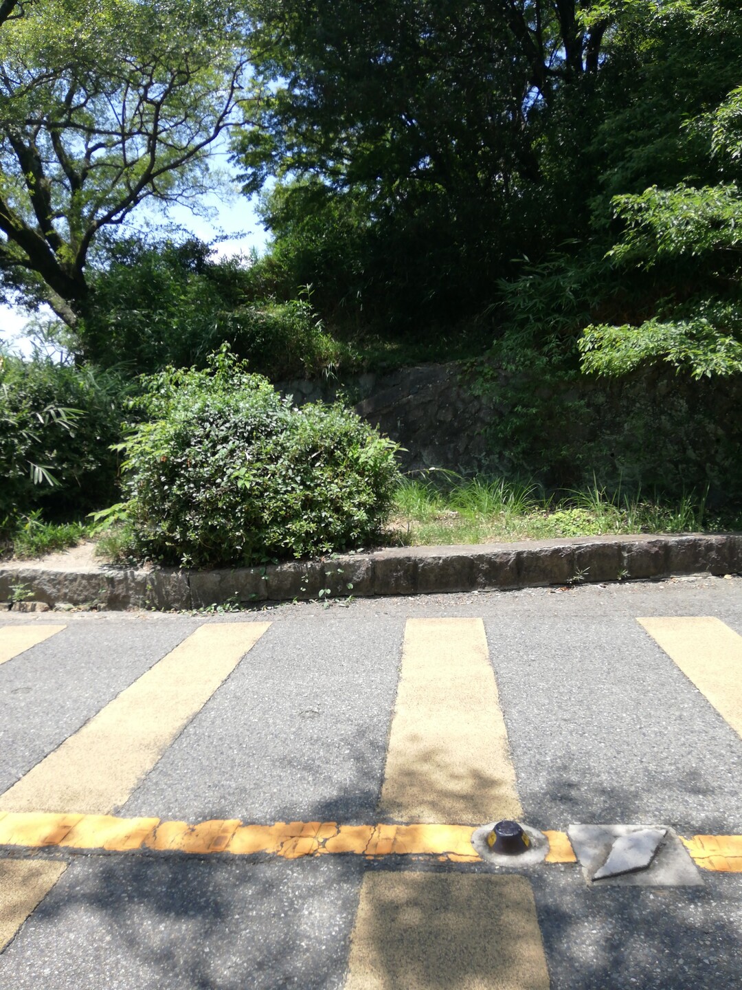 tam-tam 38さんの投稿したフィールドメモ | YAMAP / ヤマップ