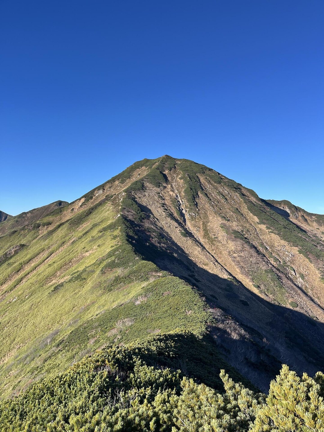 挑戦 ٩( ᐛ )و 伏美側から1967峰へ！☀️ / ☀️リオパパ☀️さんの幌尻岳・戸蔦別岳・伏美岳の活動データ | YAMAP / ヤマップ