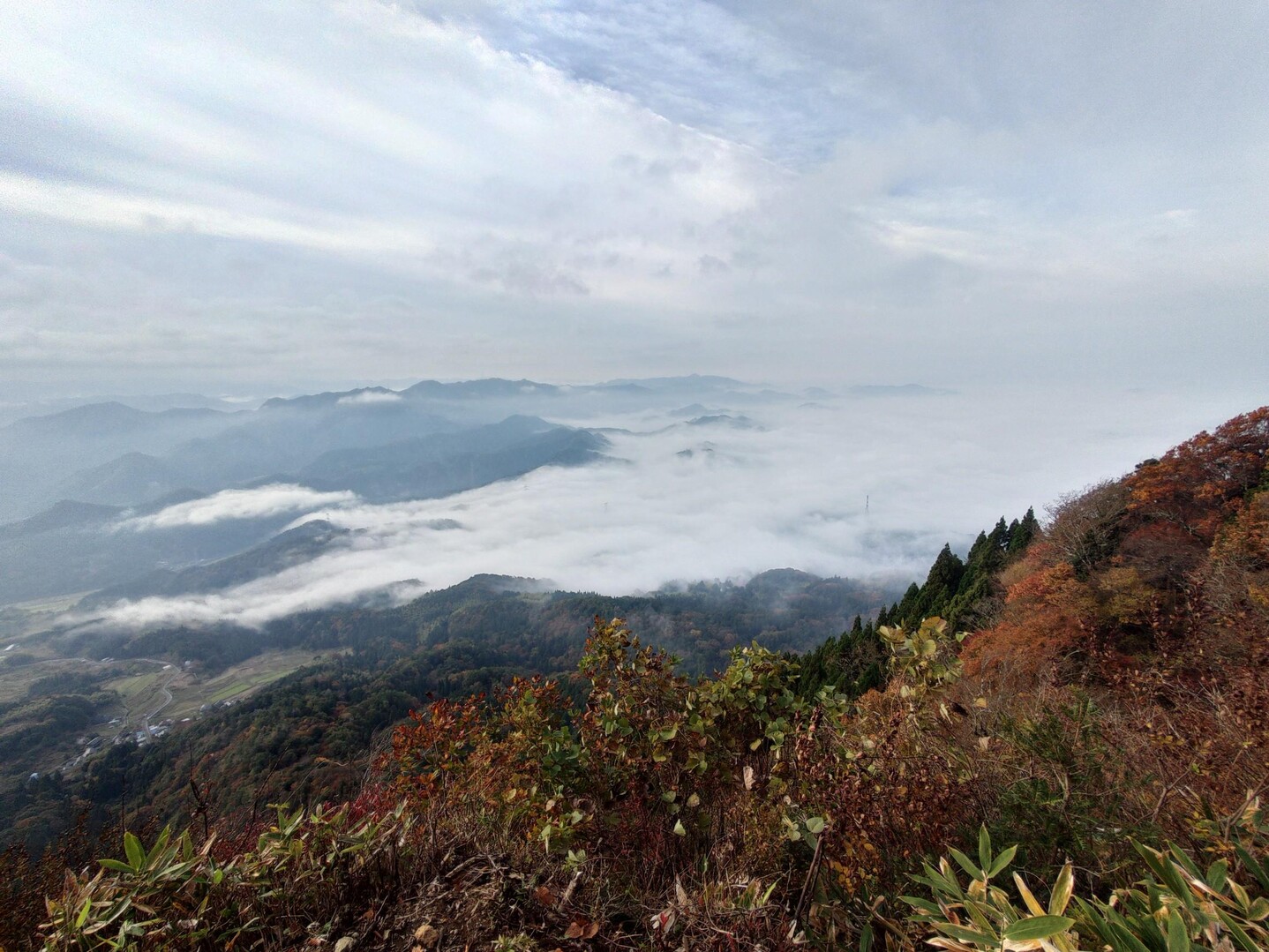 青葉山@関西百35/100 / shu-5さんの青葉山の活動データ | YAMAP / ヤマップ