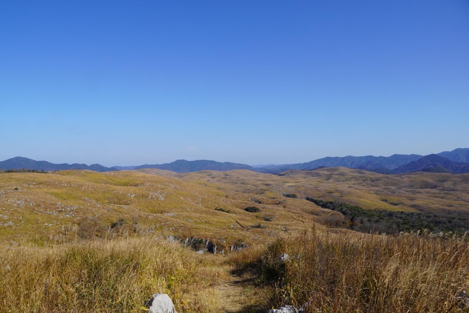 龍護峰・おはち山・西の西山・小剣山・剣山・若竹山 / masaikeさんの秋吉台の活動データ | YAMAP / ヤマップ