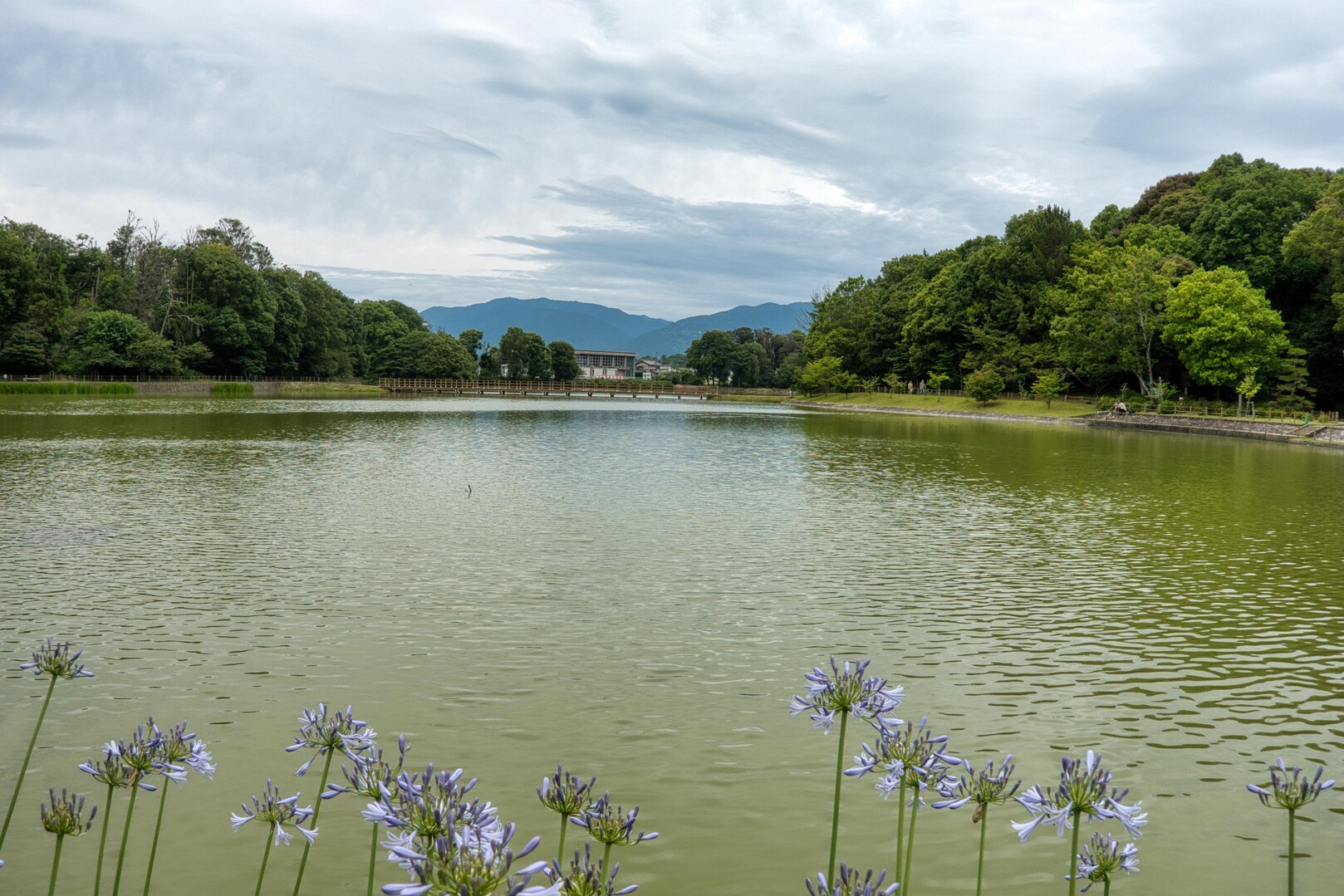 久しぶりの畝傍山でいろいろと惑う（畝傍山周回） / persさんの大和三山（天香久山・畝傍山・耳成山）の活動データ | YAMAP / ヤマップ