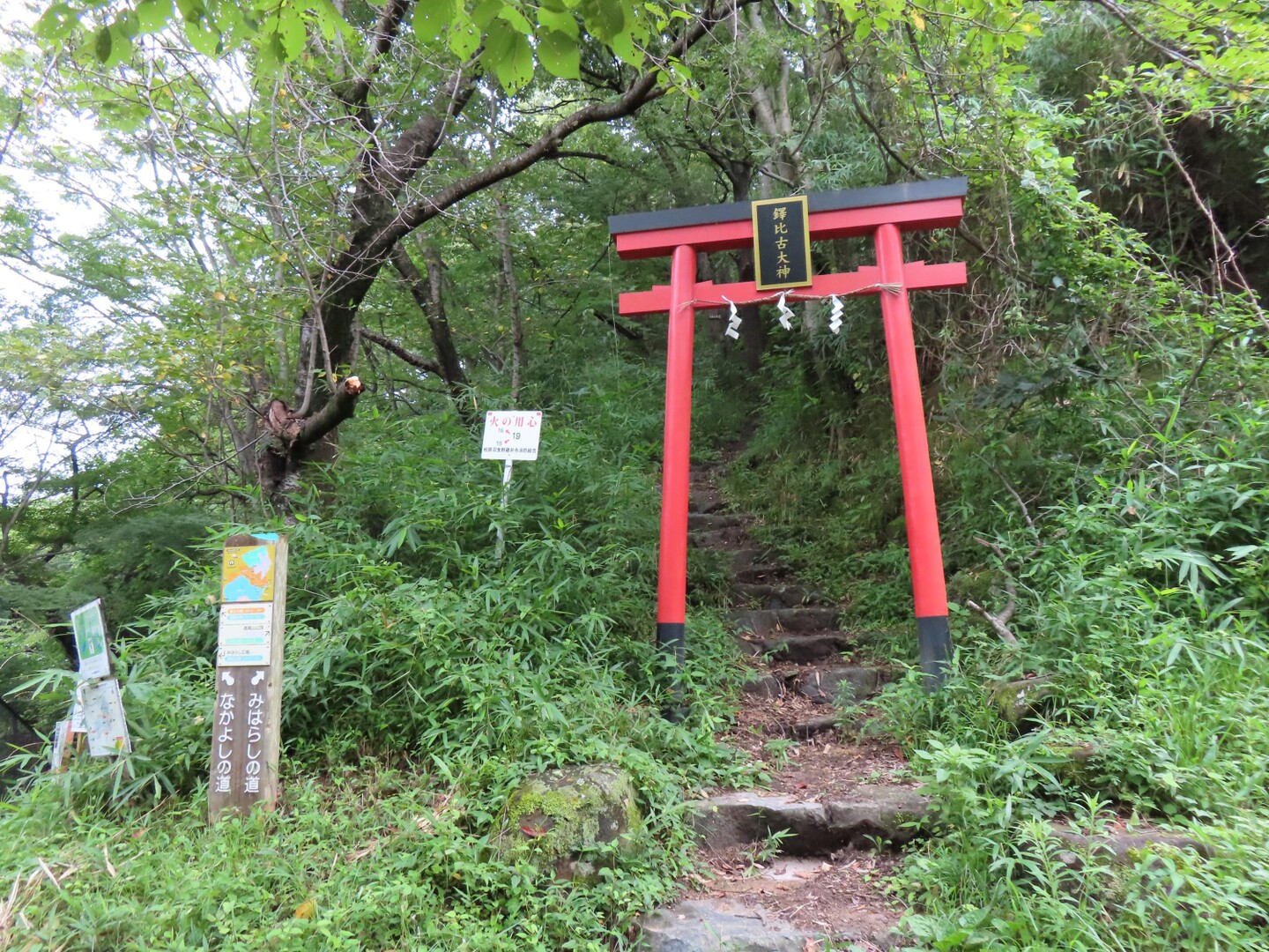 高尾山（水仙郷の道は通行止め⛔でした💦） / Howardさんの明神山・玉手山の活動日記 | YAMAP / ヤマップ