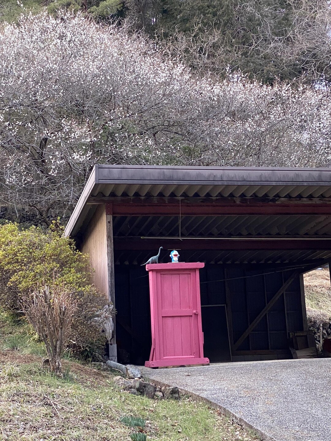 飯能アルプス / Alsuさんの天覧山・多峯主山・天覚山の活動データ | YAMAP / ヤマップ