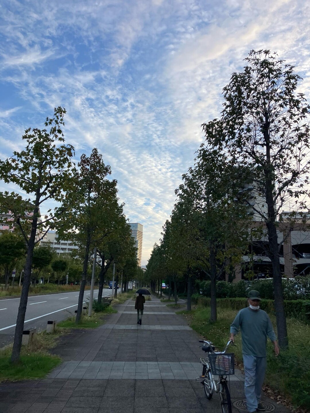🚶‍♂️今朝はのんびり🚶‍♂️ / masさんのウォーキングの活動データ | YAMAP / ヤマップ