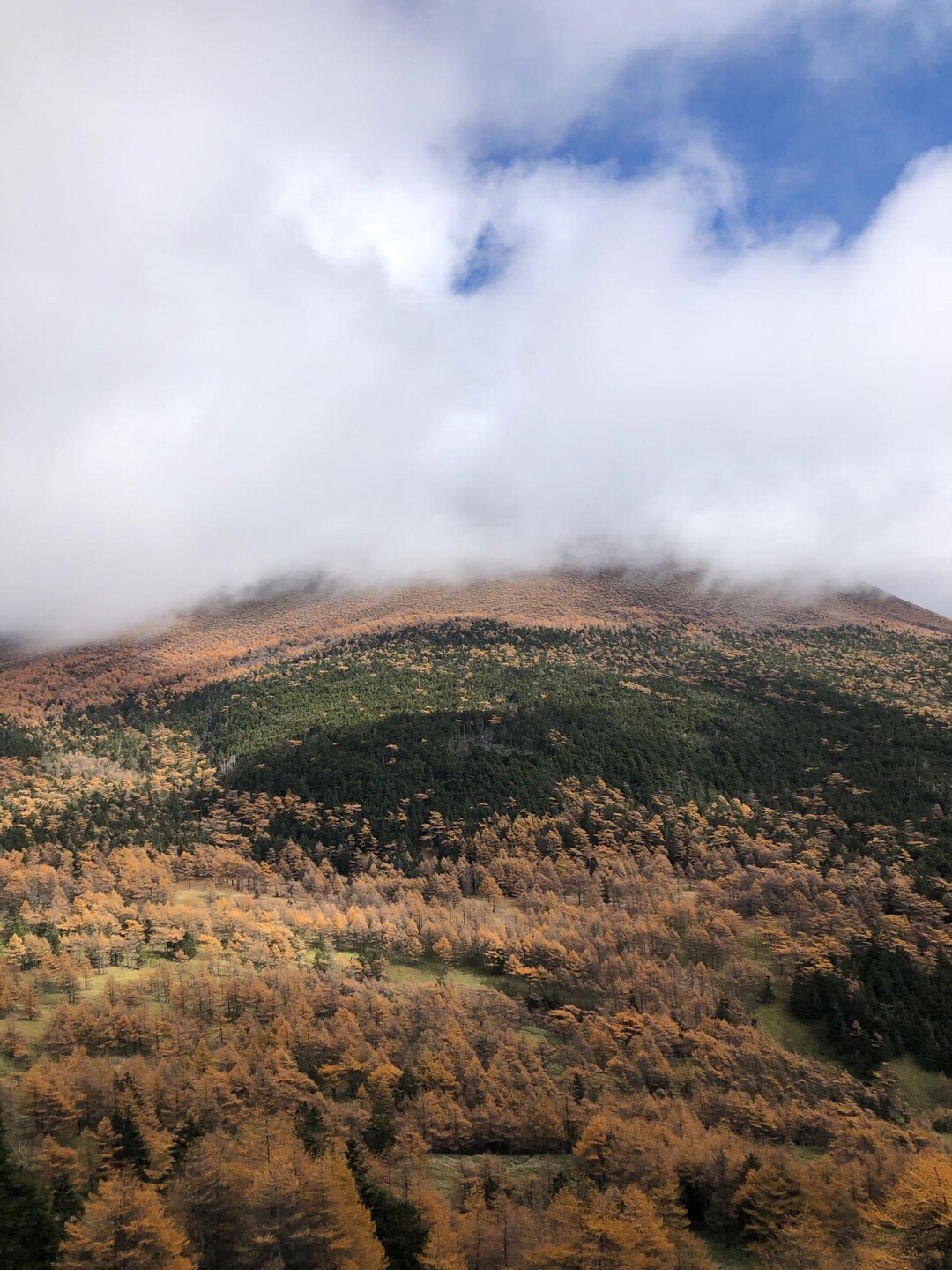 トーミの頭・黒斑山 / SUZUさんの浅間山・黒斑山・篭ノ登山の活動データ | YAMAP / ヤマップ
