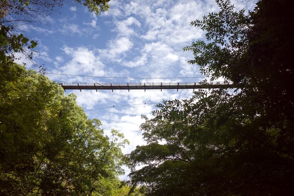 星田連山へ / ＊gran＊さんの交野山・国見山の活動データ | YAMAP / ヤマップ