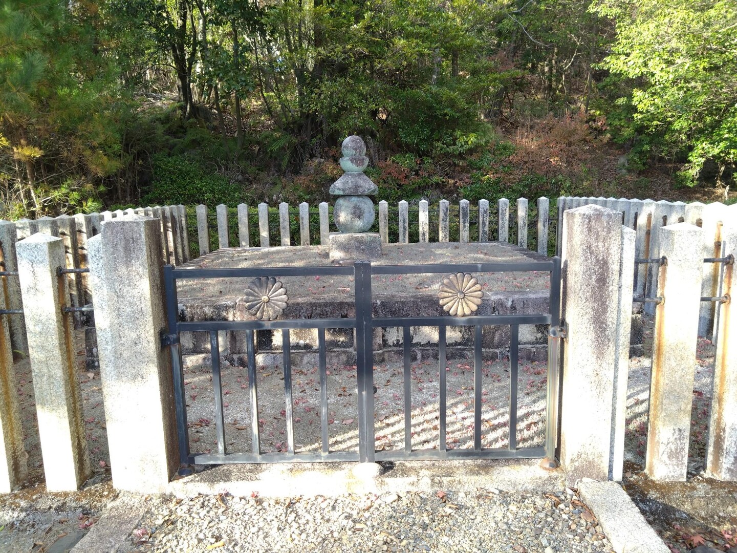 amiさんの投稿したフィールドメモ | YAMAP / ヤマップ