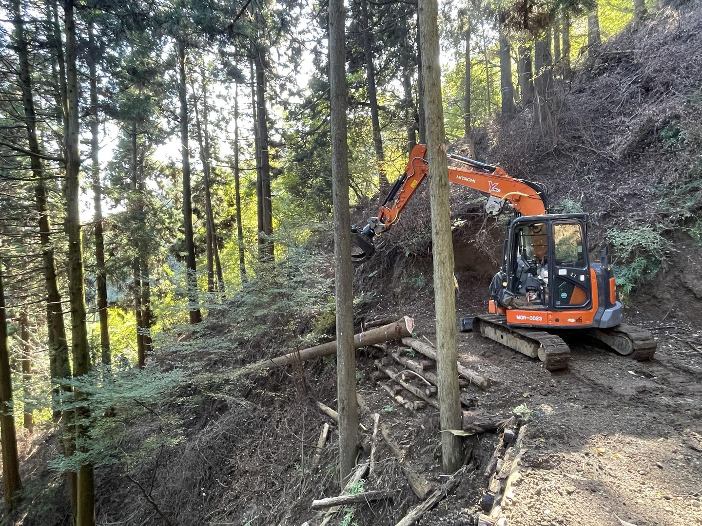 愛川町森林組合による間伐場所の確認に行って来ました😇 / ラムもふ。さんの大山の活動データ | YAMAP / ヤマップ