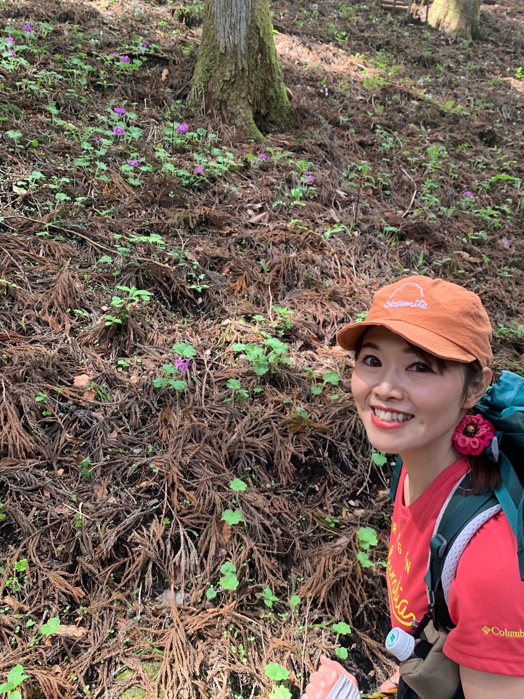 カッコウソウ🌸に会いに鳴神山へ💖 / Tomoko💖さんの鳴神山・吾妻山の活動データ | YAMAP / ヤマップ