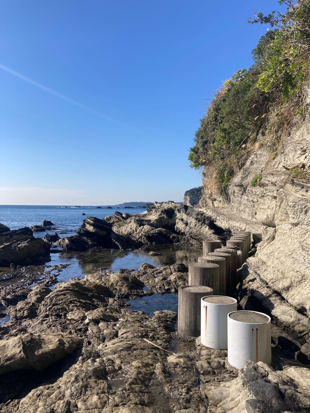 三浦岩礁の道ハイク🐟 / ちささんの三浦市・関東ふれあいの道（三浦・岩礁のみち, 油壺・入江のみち, 荒崎・潮騒のみち, 小網代の森）の活動データ | YAMAP / ヤマップ
