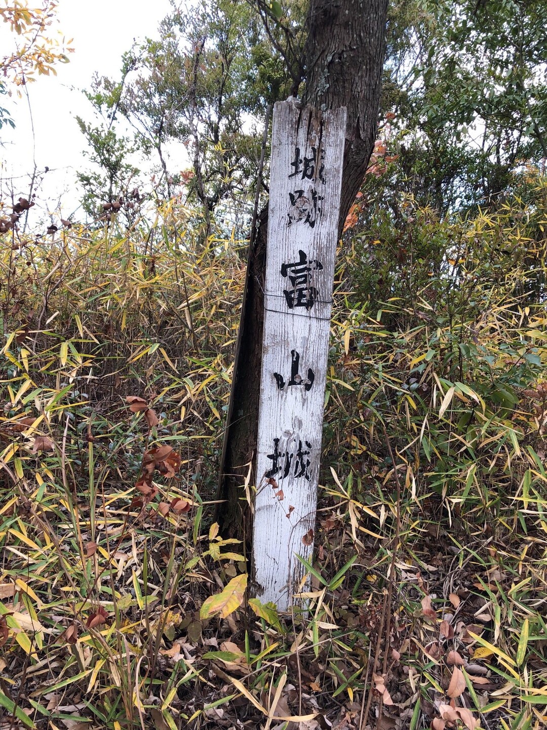 矢坂山！岡山市街地一望 ️ / GOSAYさんの岡山市 北区の活動データ | YAMAP / ヤマップ