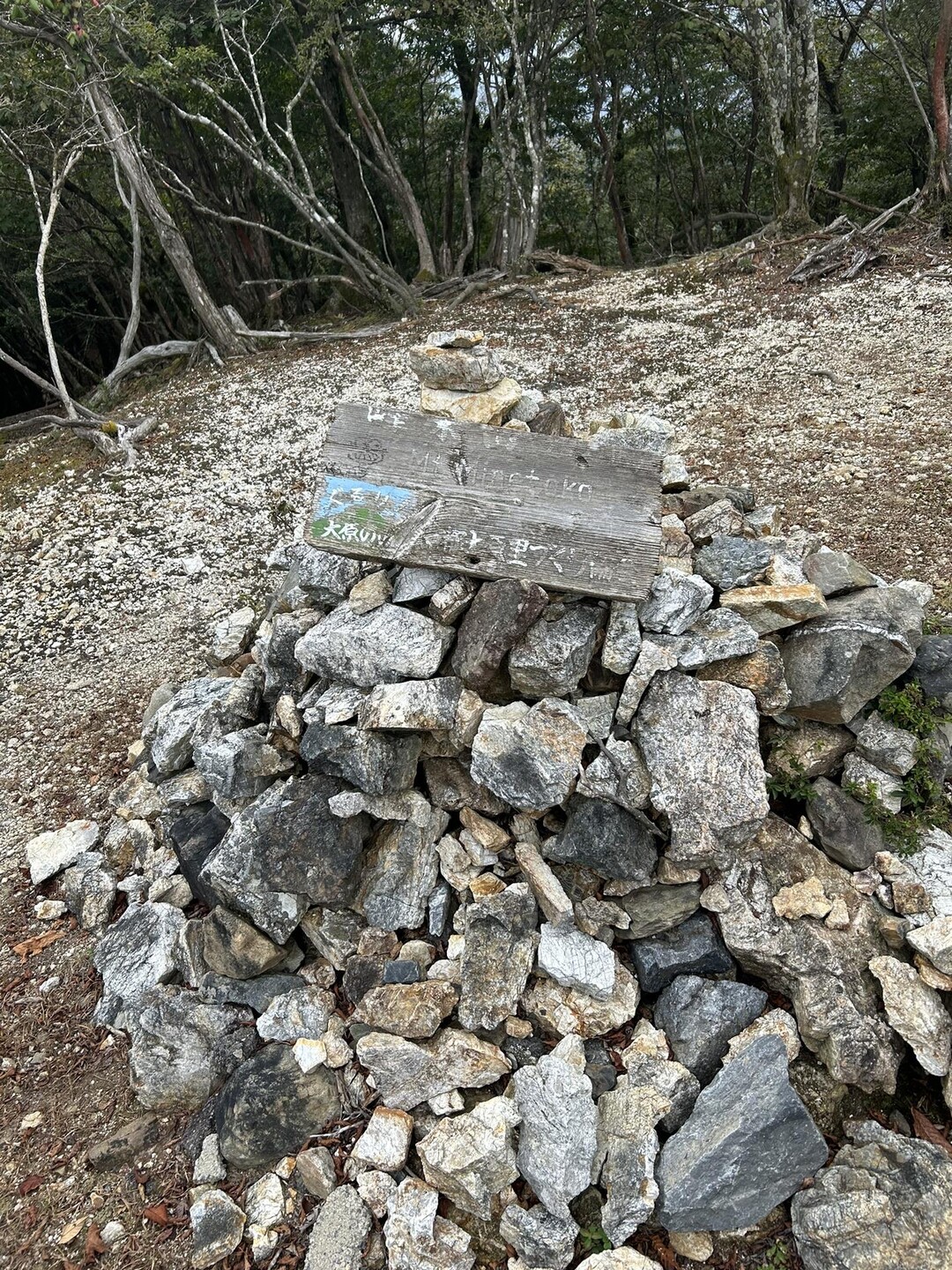 峰床山 / Andytakaさんの皆子山の活動データ | YAMAP / ヤマップ