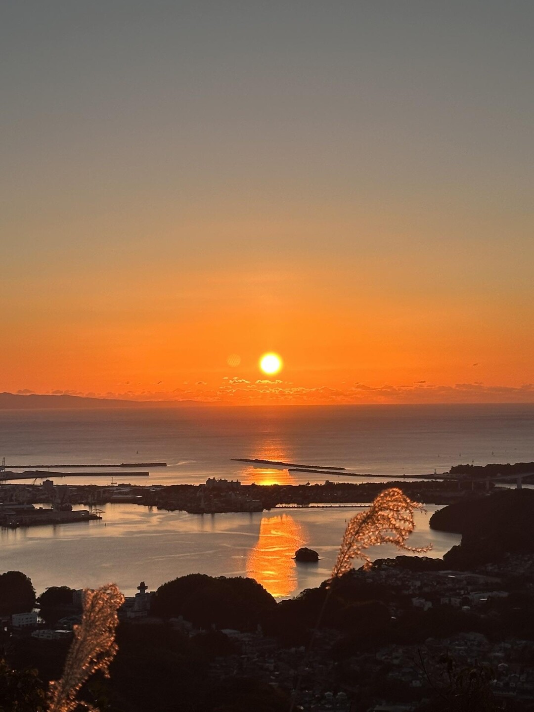 登り始めはやっぱり鷲尾山 / shuyaさんの鷲尾山・皿ヶ峰・宇津野山の活動データ | YAMAP / ヤマップ