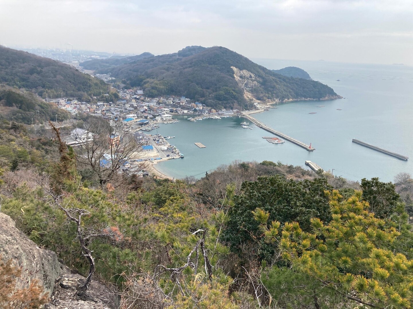 X山・Y山・Z山 / ターボウさんの天下台山・嫦峨山の活動データ | YAMAP / ヤマップ