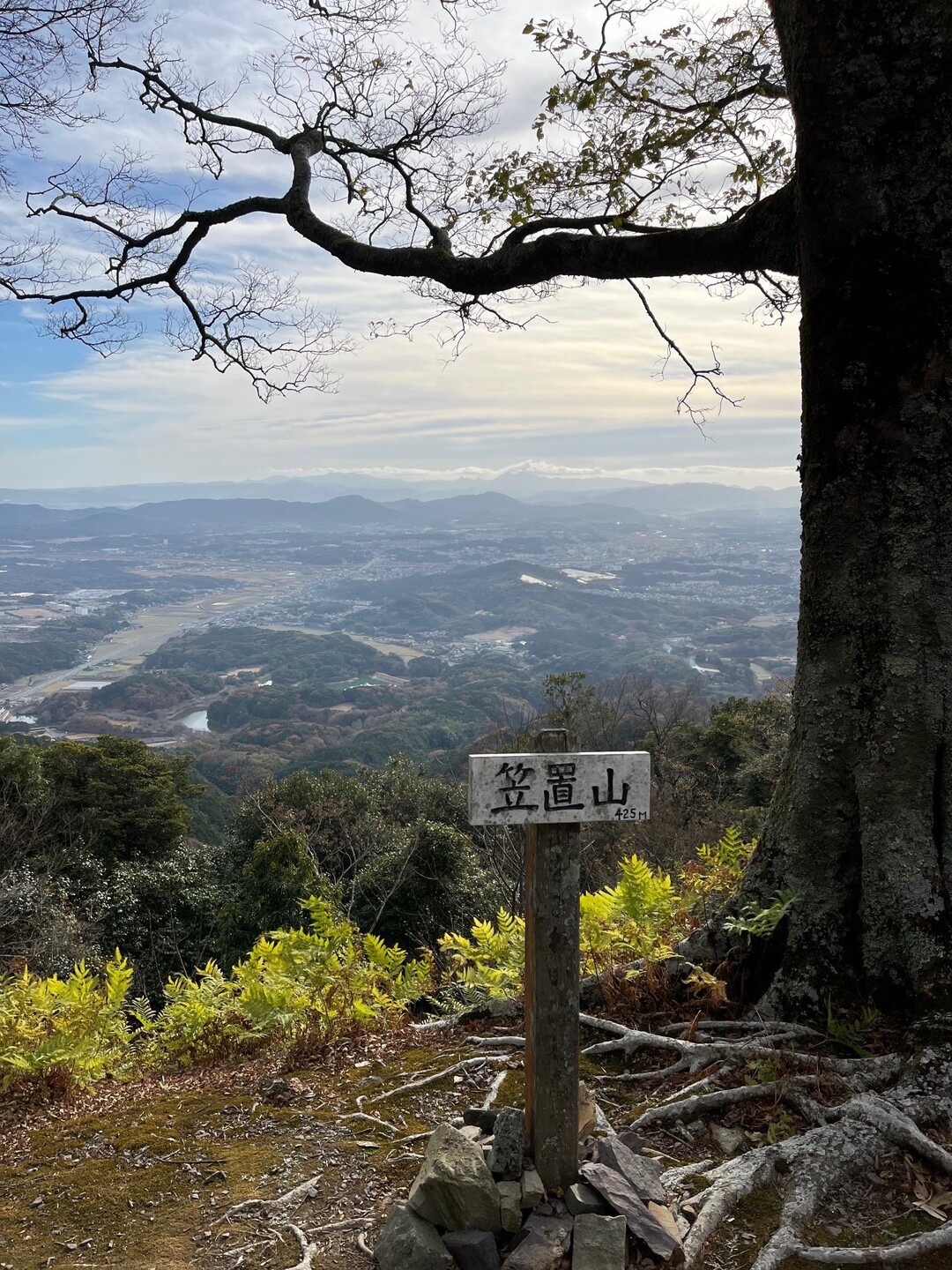 笠置山-2023-12-09 / tonyさんの笠置山の活動データ | YAMAP / ヤマップ