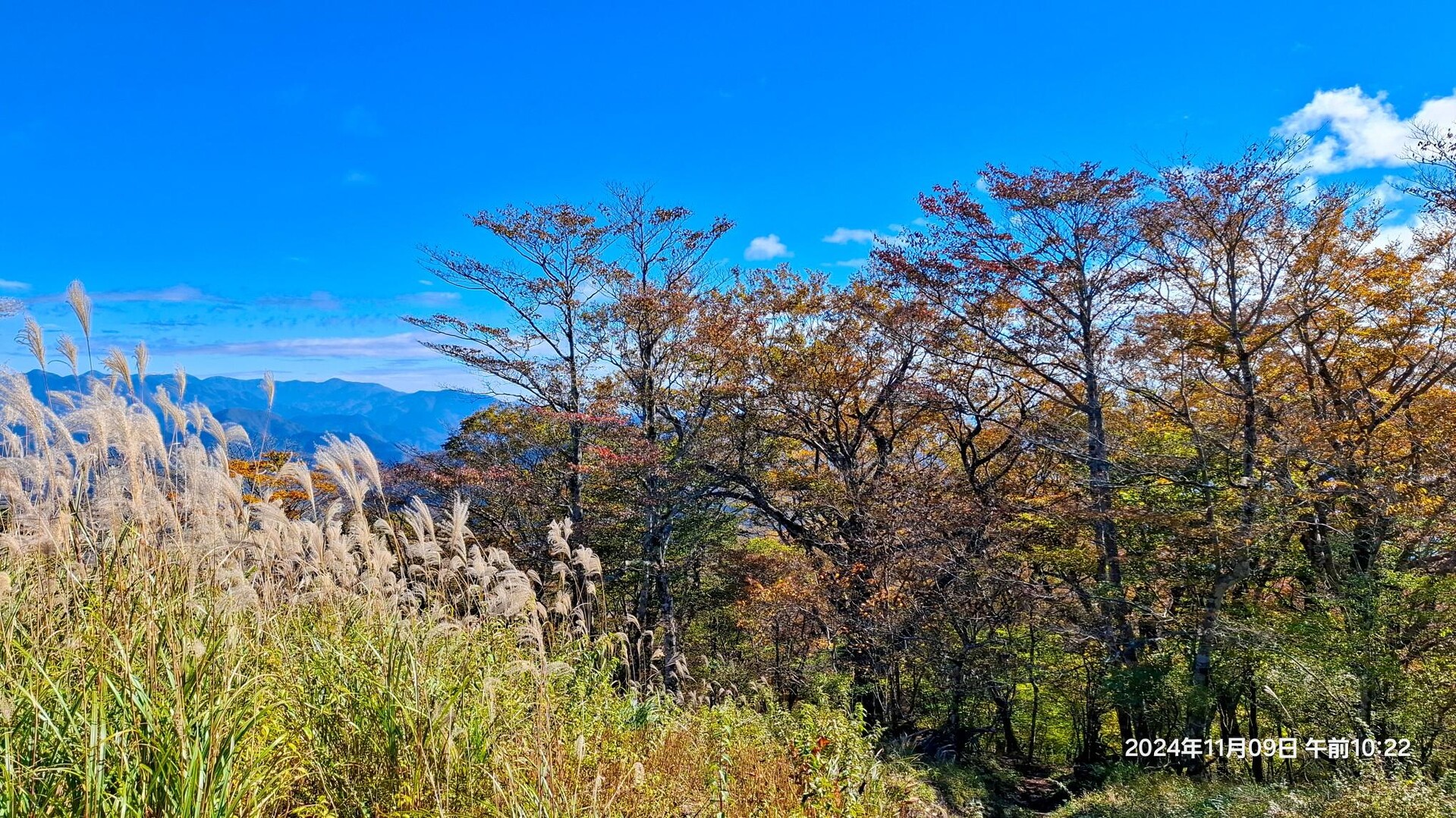三国山朝陽浴びたる枯野かな / mitchさんの三国山・大洞山・不老山の活動日記 | YAMAP / ヤマップ