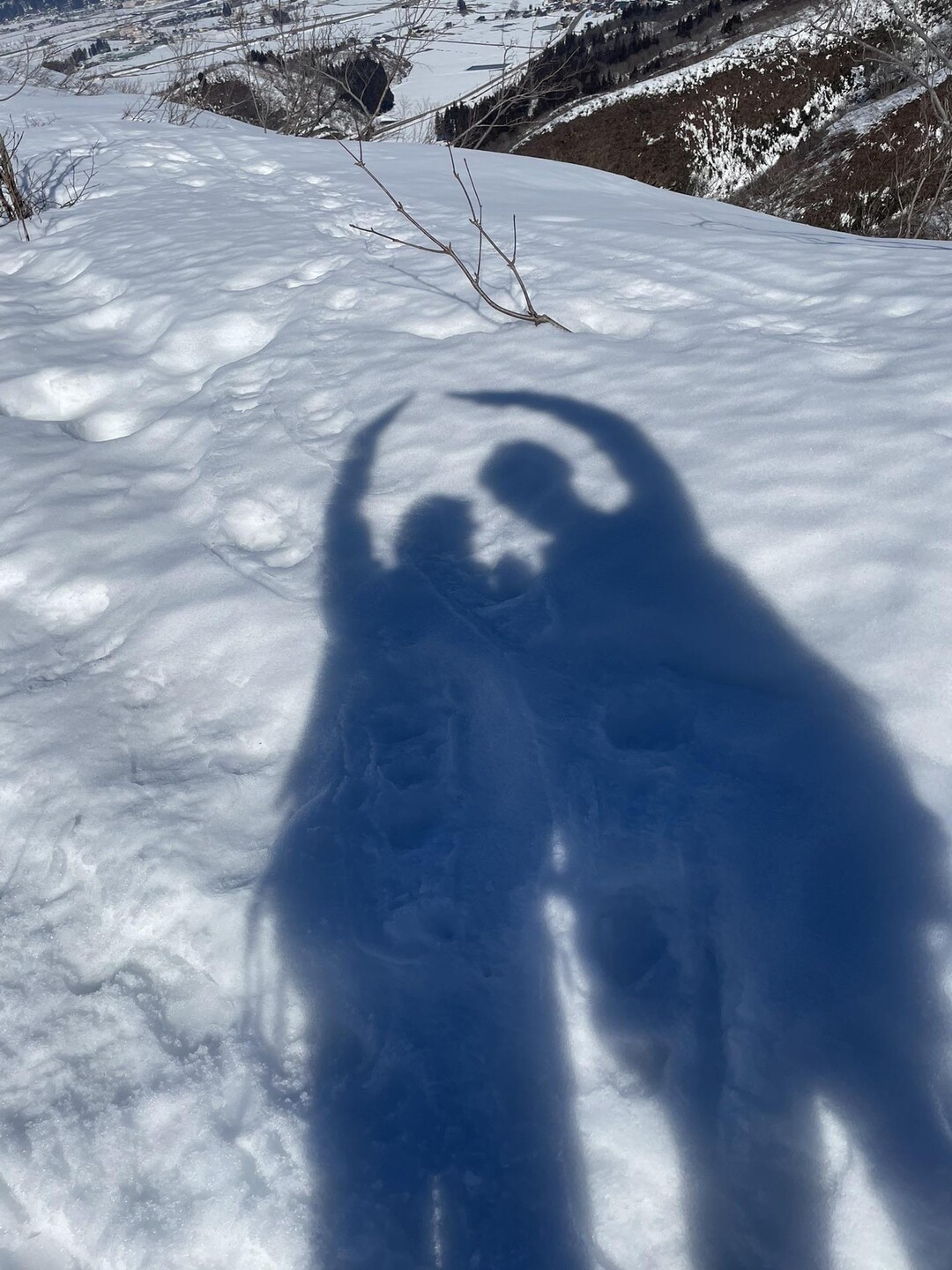 大力山 / cococoさんの大力山・黒禿の頭・笠倉山の活動データ | YAMAP / ヤマップ