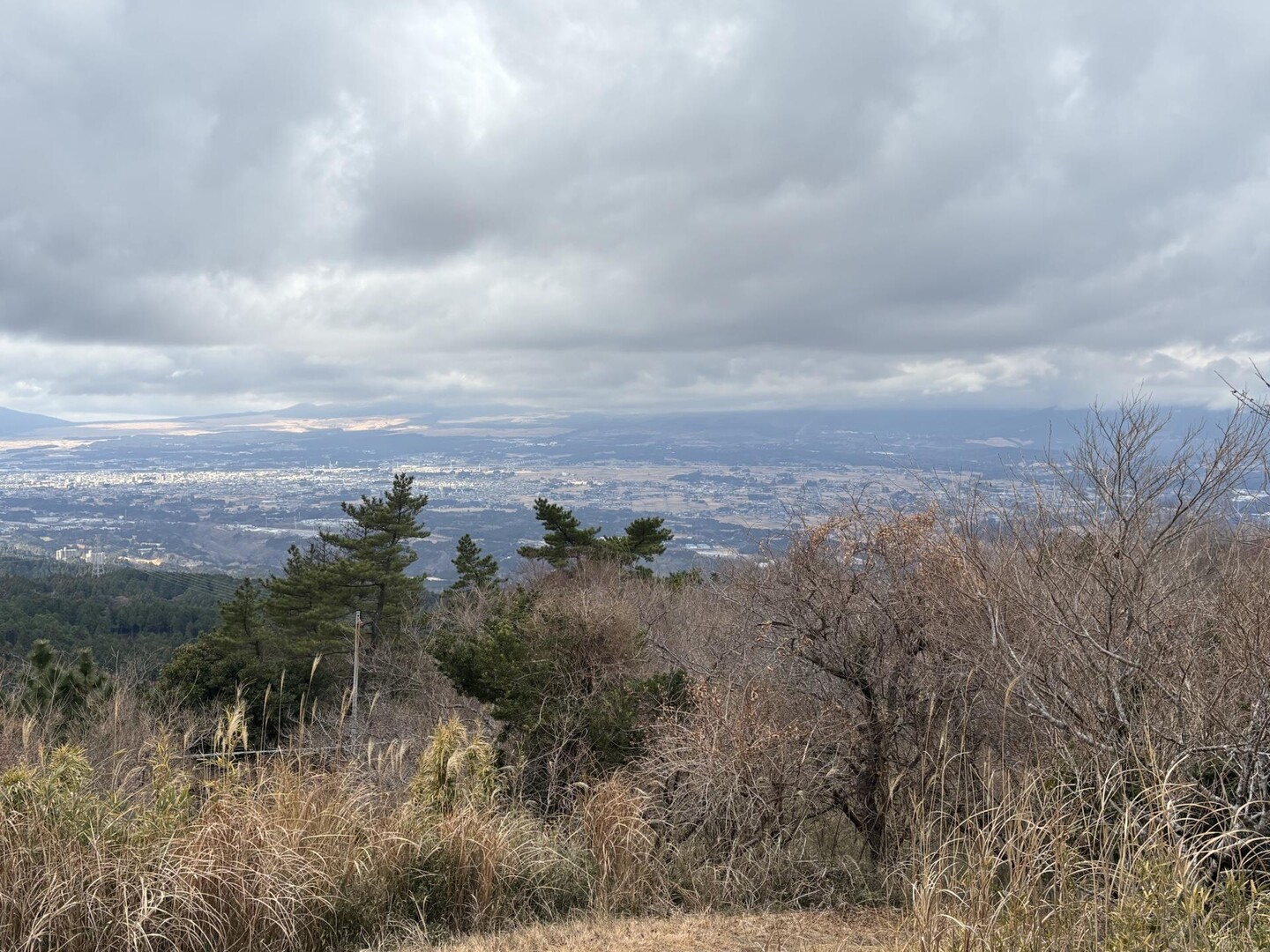 矢倉岳 / mattさんの矢倉岳の活動データ | YAMAP / ヤマップ