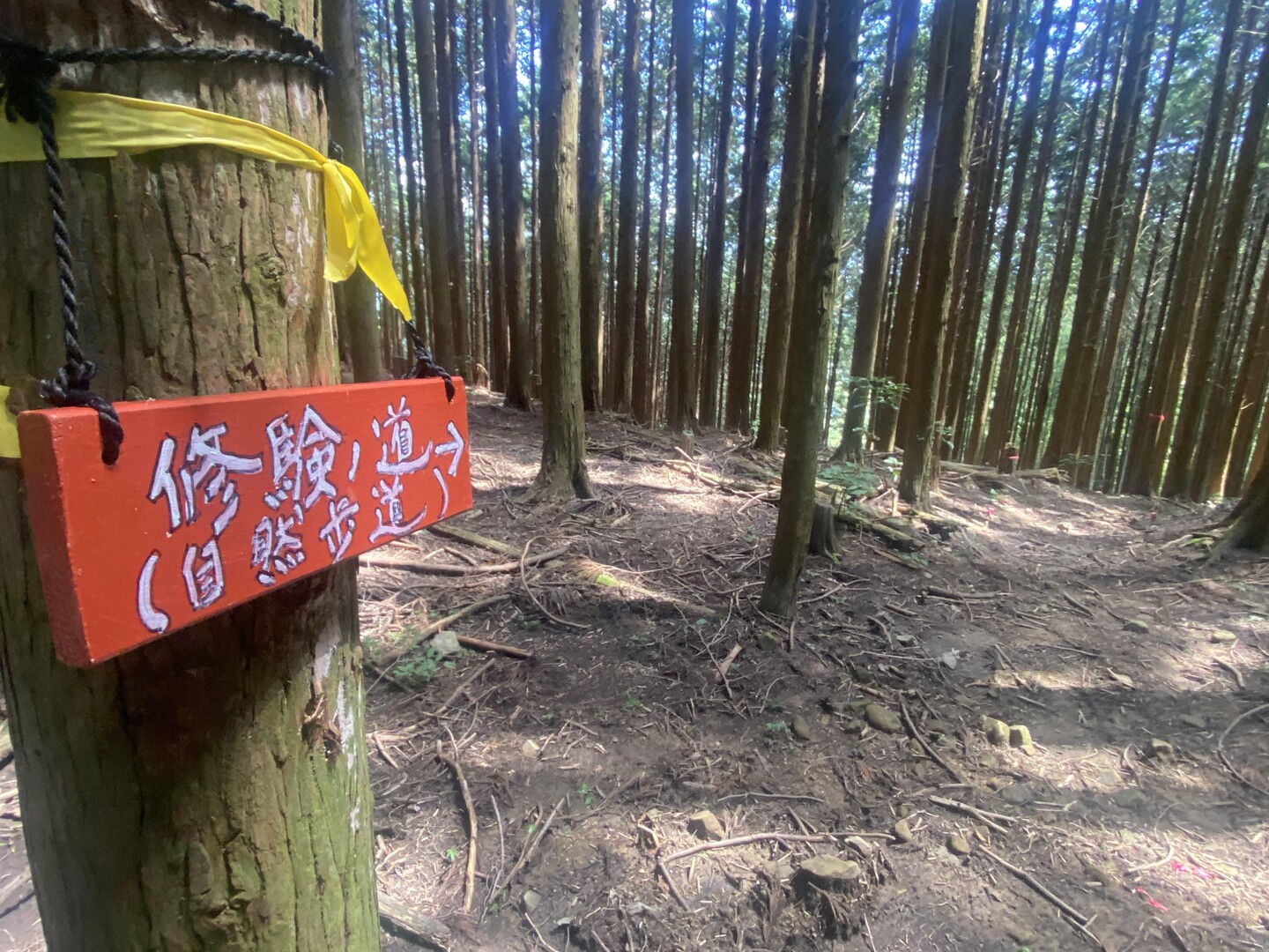 葛城山・大石ヶ峰・小堂峰 / varaderoさんの槇尾山（槙尾山）・和泉葛城山・神於山の活動データ | YAMAP / ヤマップ