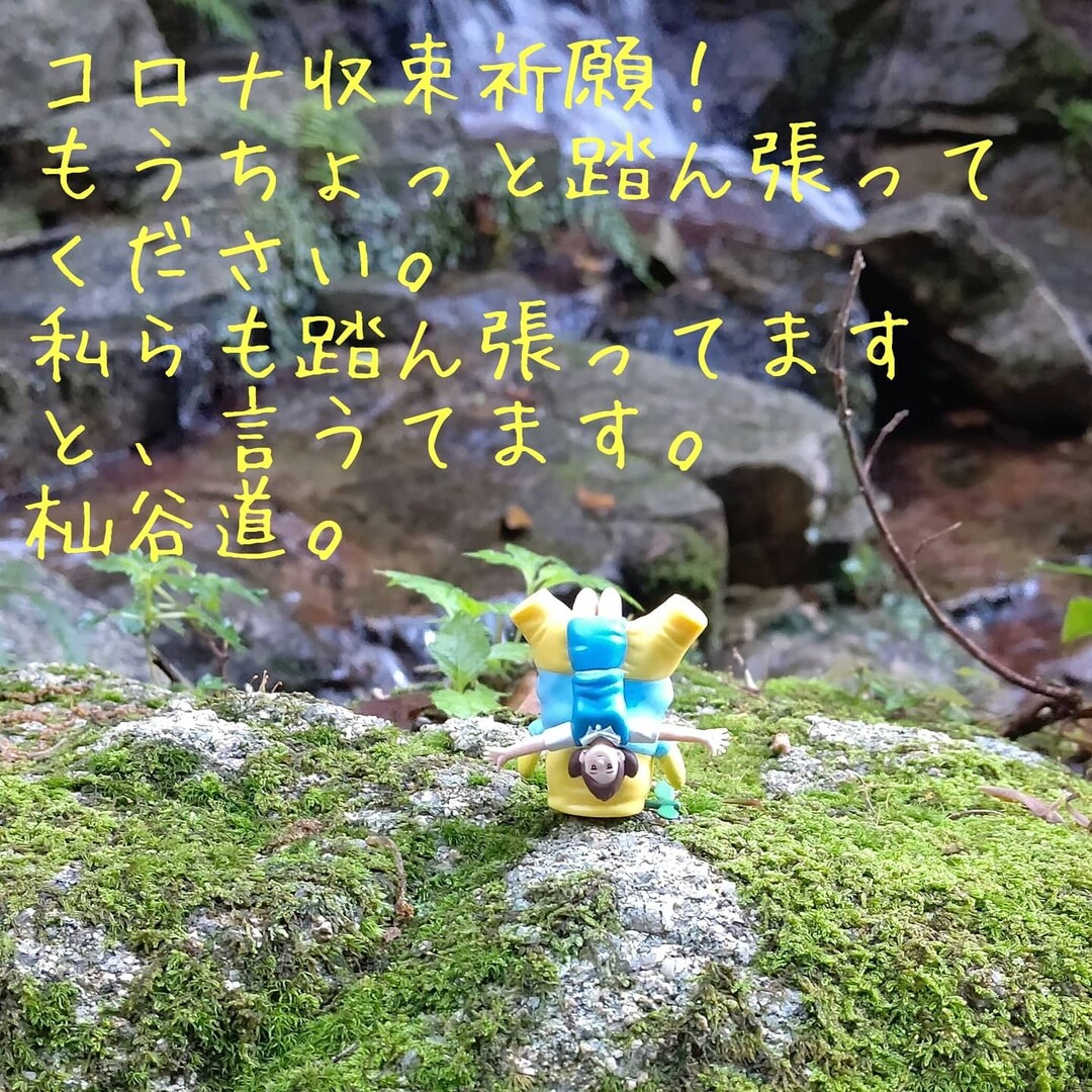 2021.06.20(日) 11:18 / トータスさんのモーメント | YAMAP / ヤマップ