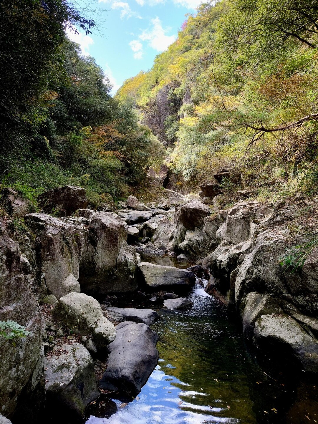 鎌倉峽.百丈岩（裏六甲） / katuさんのモーメント | YAMAP / ヤマップ