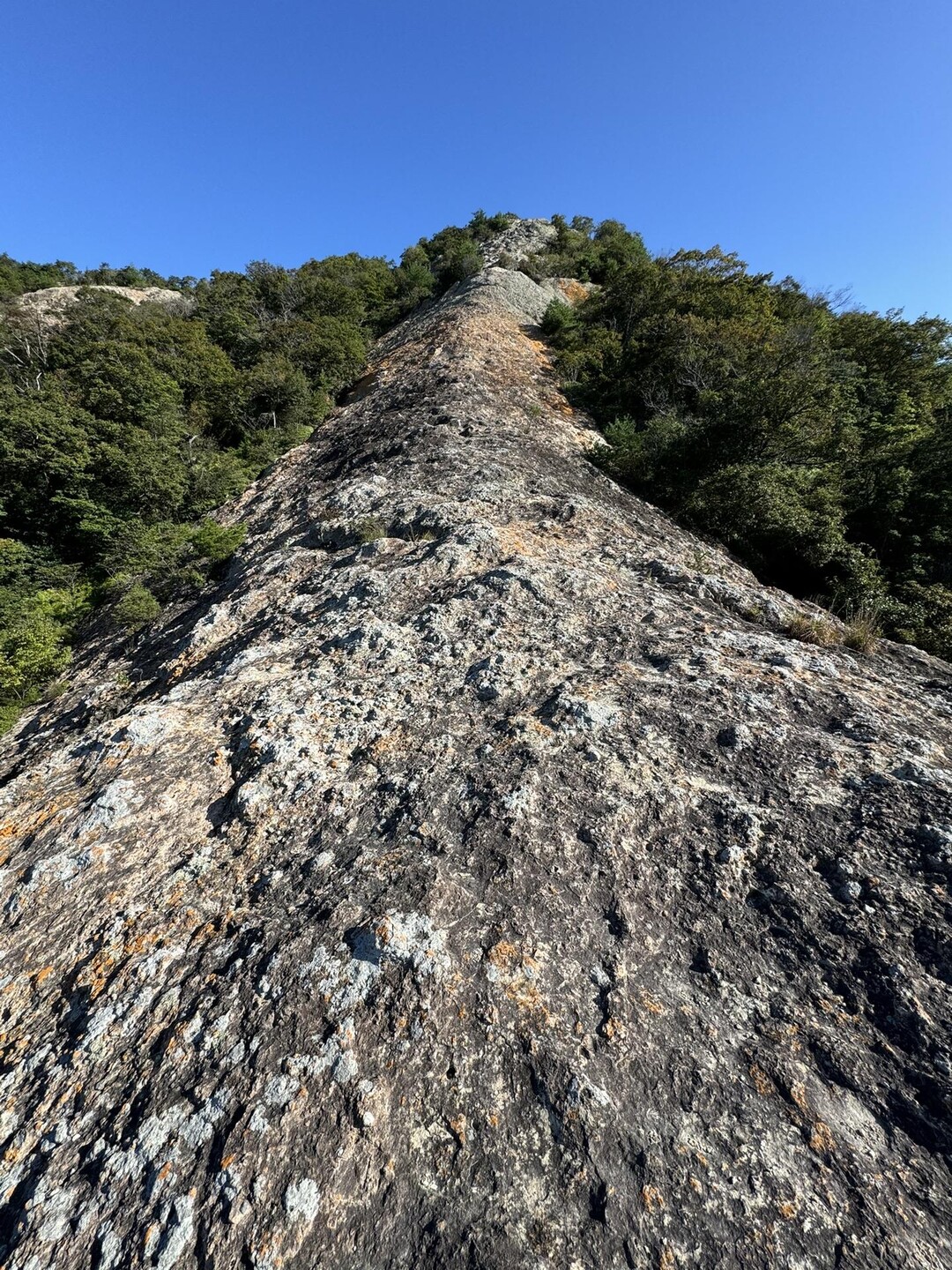 小野アルプス / maecciさんの小野アルプス（紅山・惣山）の活動データ | YAMAP / ヤマップ