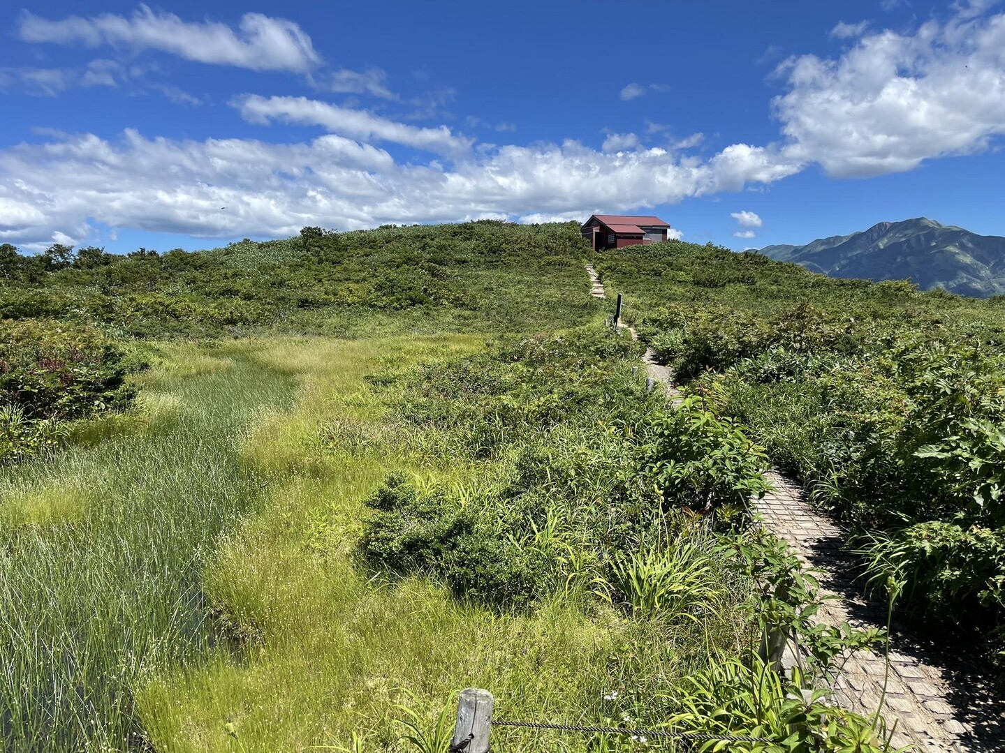 赤兎山③ / fumiさんの赤兎山・猪鼻山の活動データ | YAMAP / ヤマップ