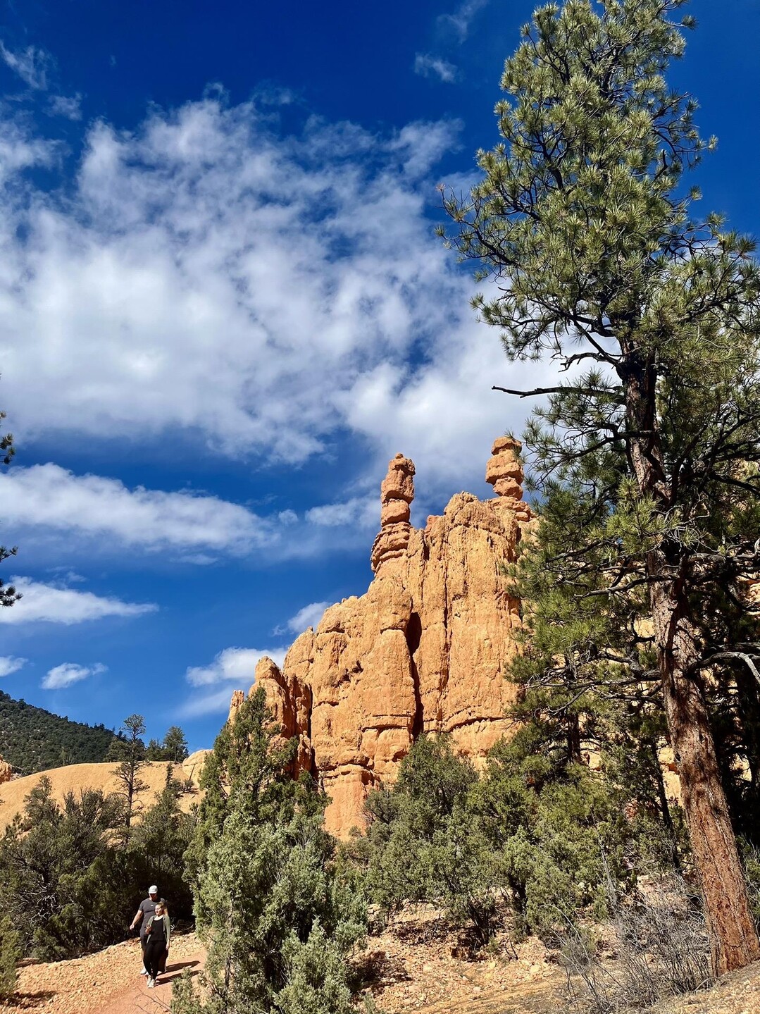 Red canyon / yamaYamaAAAさんのウォーキングの活動データ | YAMAP / ヤマップ