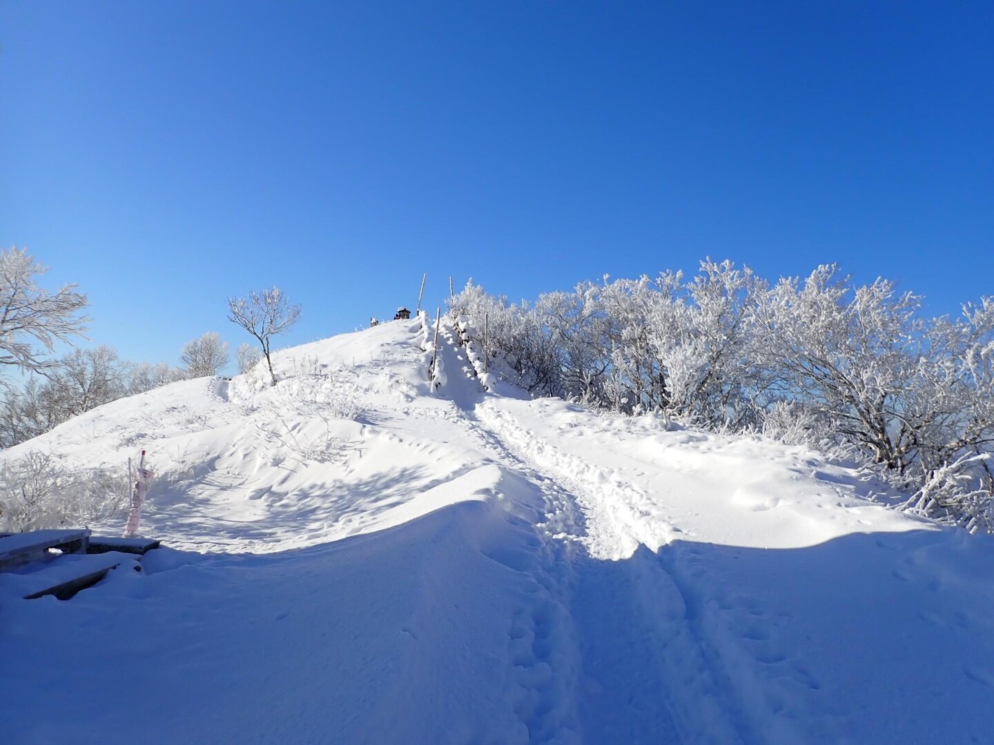 仁頃山 500回 / moneさんの仁頃山の活動データ | YAMAP / ヤマップ