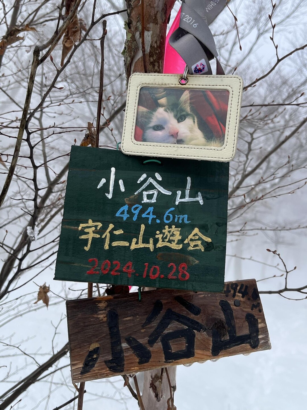 小谷山・なっくんと共にR7-5(通算272) / なっくんさんの小谷山・虎御前山の活動データ | YAMAP / ヤマップ