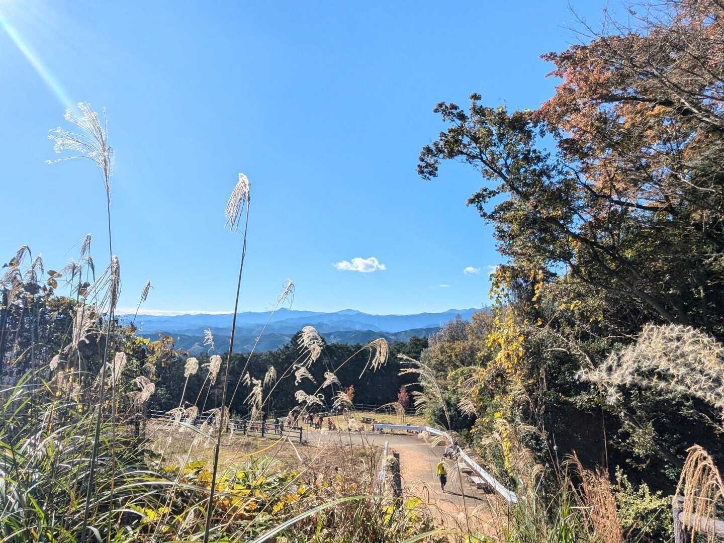 ☀日和田山/高指山/物見山*3rd / nanamiさんの日和田山・物見山の活動データ | YAMAP / ヤマップ