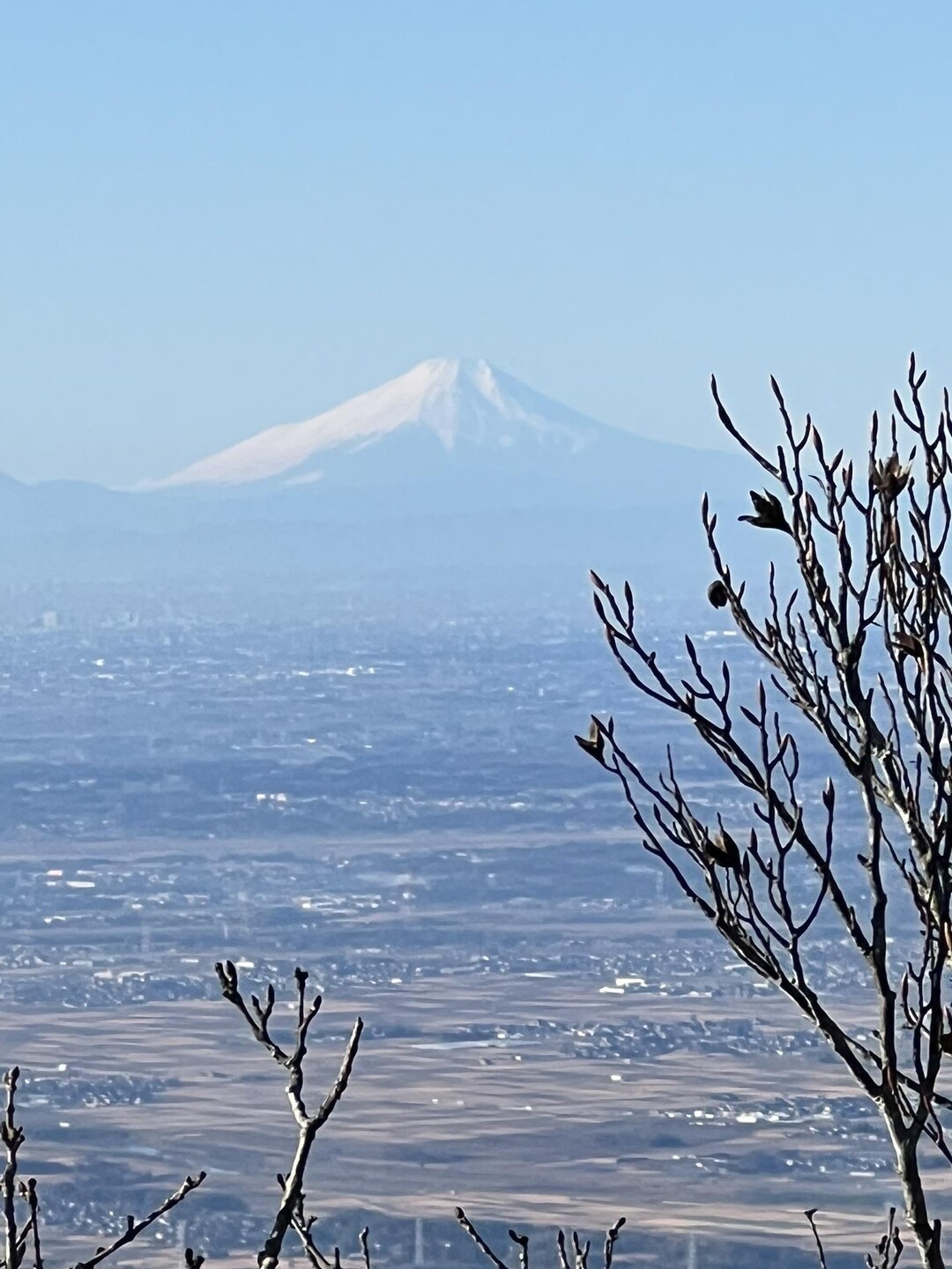 筑波山（女体山）・筑波山（男体山） / n@tsuさんの筑波山の活動データ | YAMAP / ヤマップ