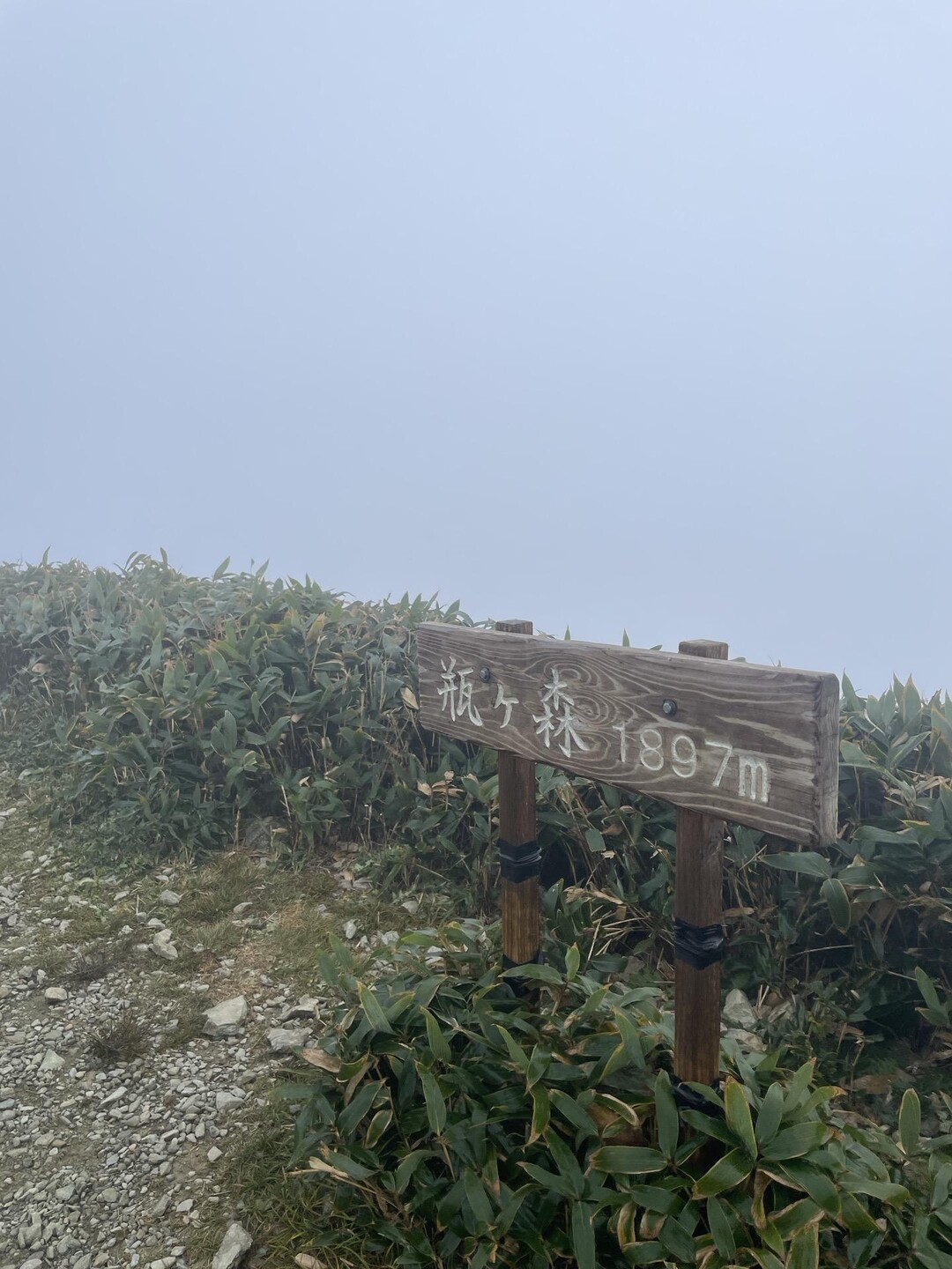 男山・瓶ヶ森 / yumiさんの瓶ヶ森・伊予富士の活動データ | YAMAP / ヤマップ