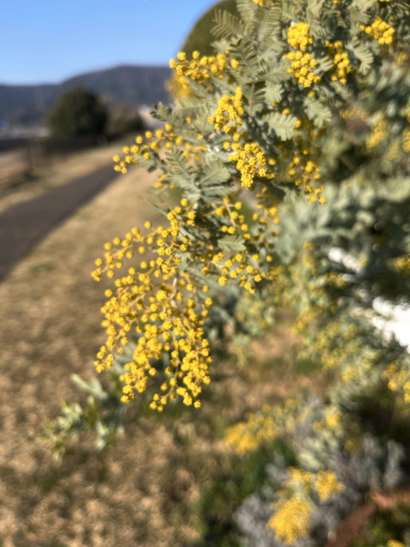 瀬田川ぐるりん散歩🚶 https:/... / やなさんさんのモーメント | YAMAP / ヤマップ