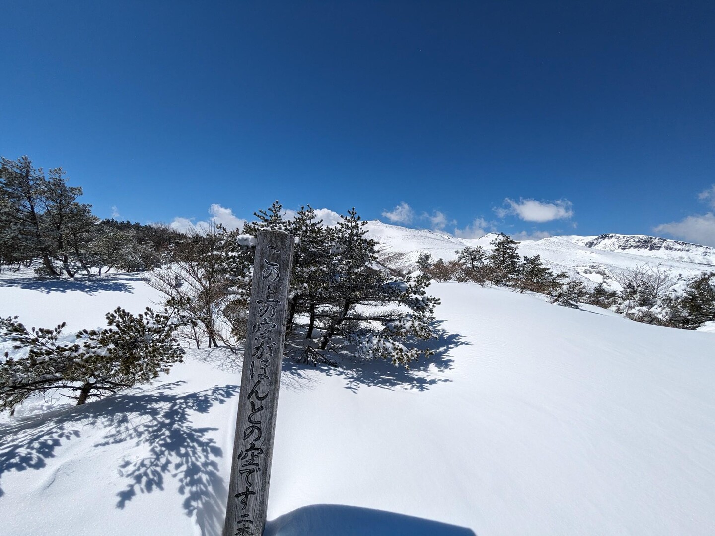 本物の空へ / noraさんのモーメント | YAMAP / ヤマップ