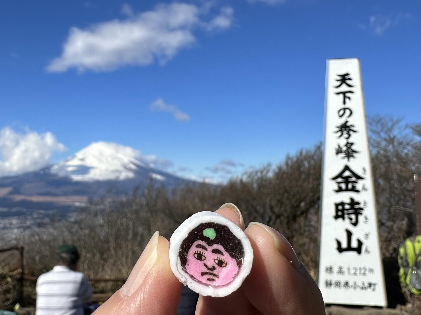 まさに天下の秀峰！金時山 / cosyauさんの金時山・明神ヶ岳の活動データ | YAMAP / ヤマップ