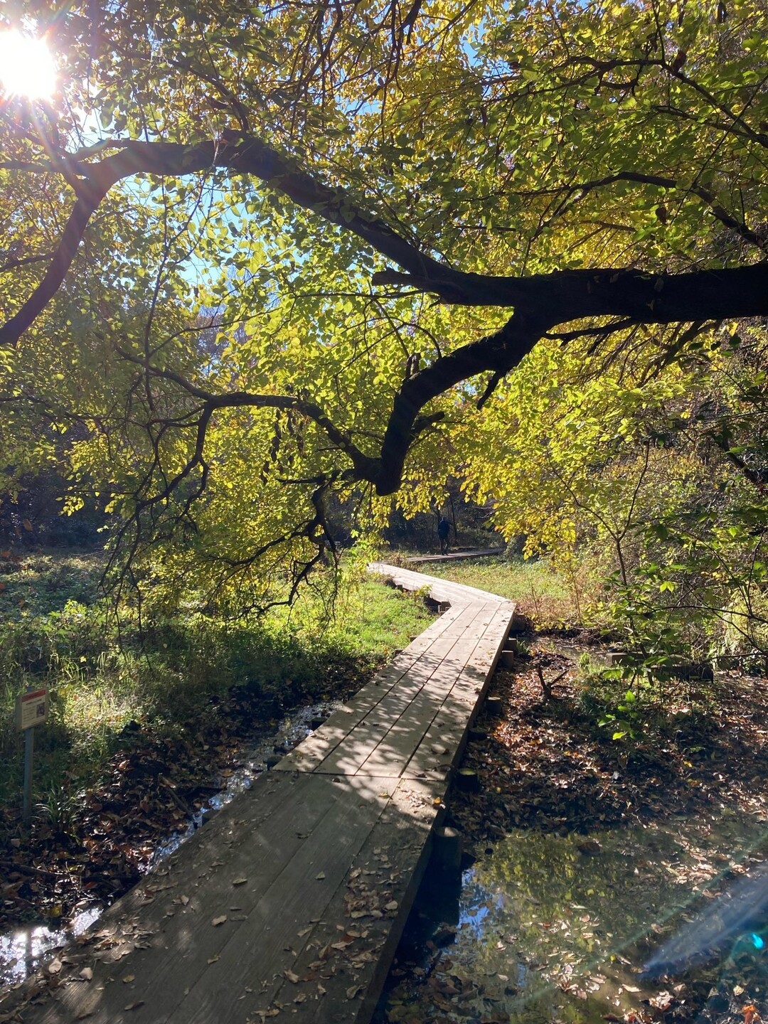 ウォーキング-2023-12-03 / Mr.wwYwwさんのウォーキングの活動データ | YAMAP / ヤマップ