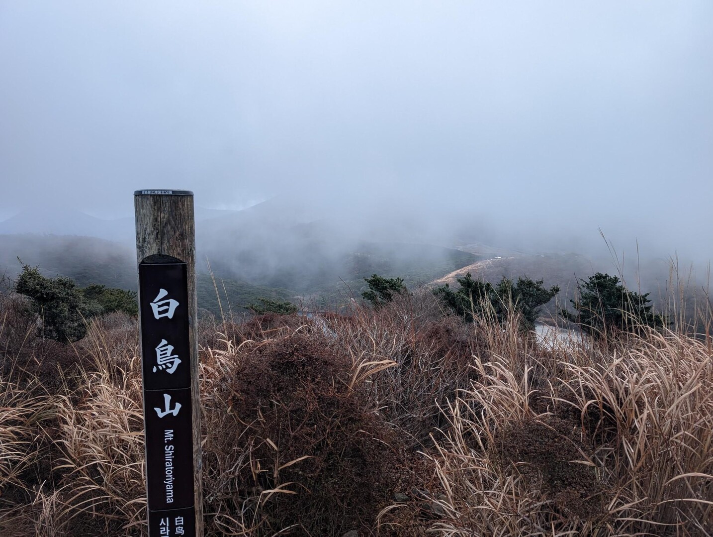 白鳥山（九州100名山Ver.YAMAP№107/112） / sw32さんの霧島山・韓国岳・高千穂峰・夷守岳・烏帽子岳の活動データ | YAMAP / ヤマップ