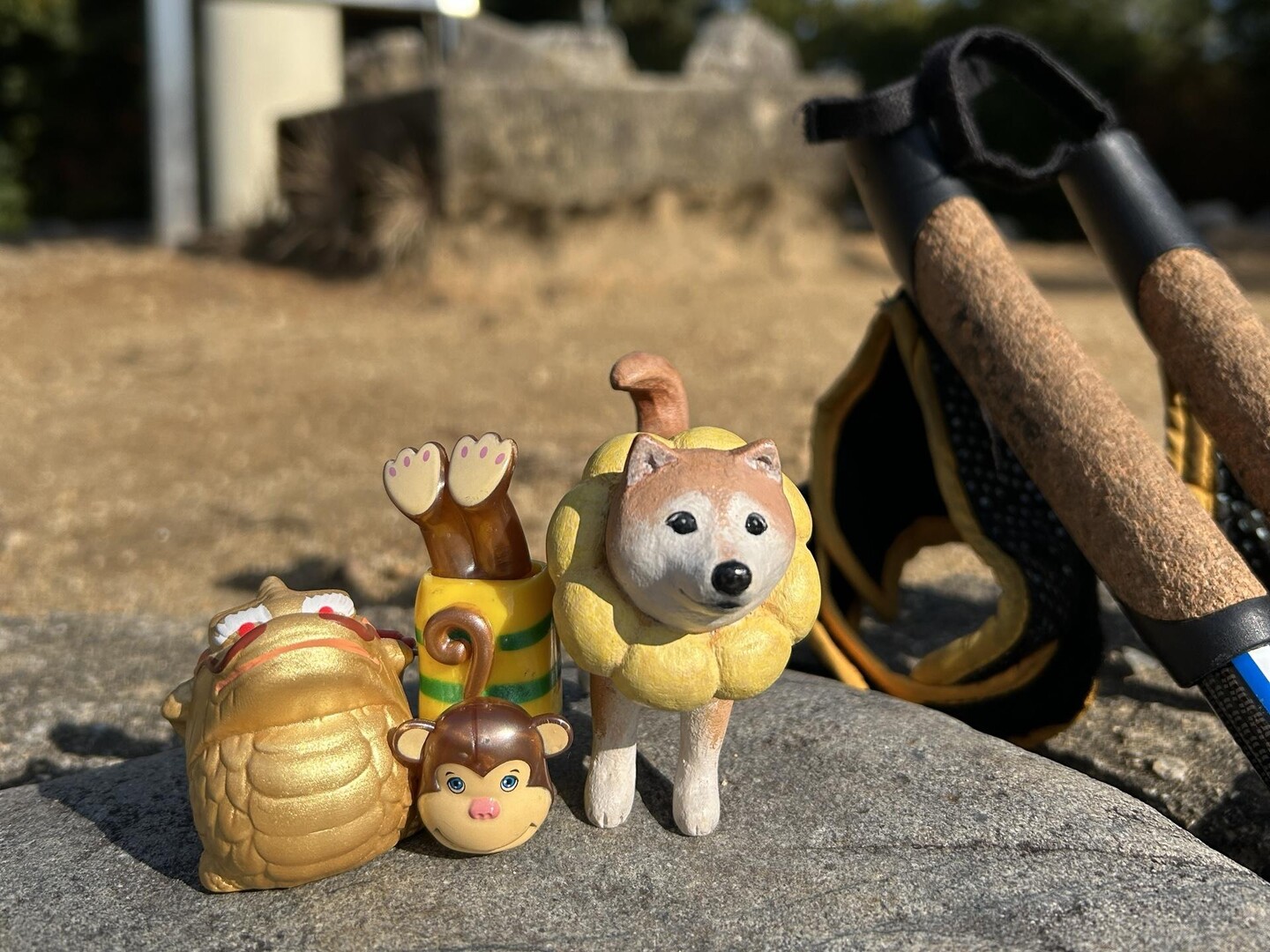 登りはじめは静かなる京の都 / curiさんの京都一周トレイルの活動データ | YAMAP / ヤマップ