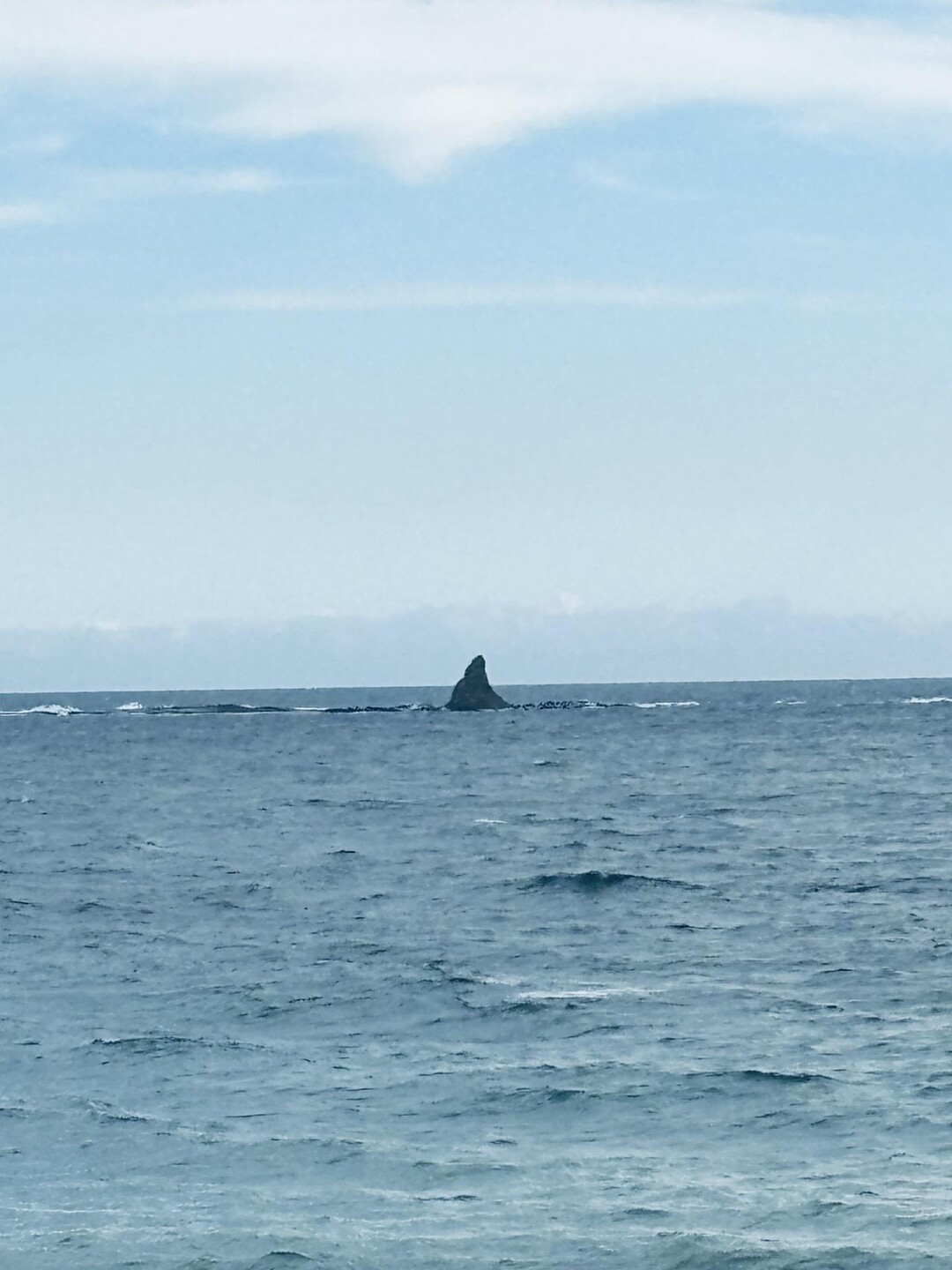 XW TOKYO BEGINNERS 2024-10-19 / fum tomさんのウォーキングの活動データ | YAMAP / ヤマップ