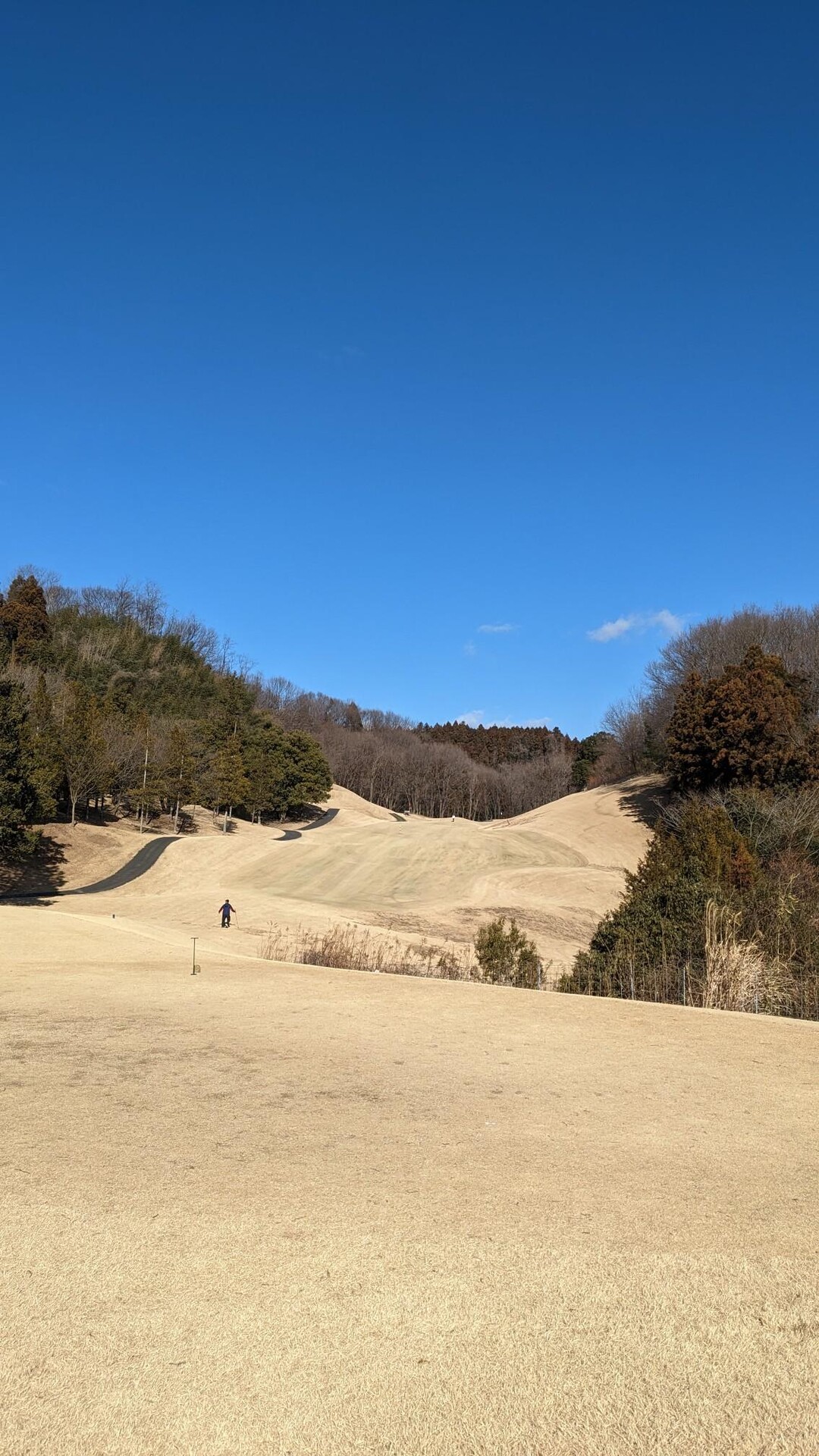 今日のゴルフ場は狭くて平らなところが少な... / maaさんのモーメント | YAMAP / ヤマップ