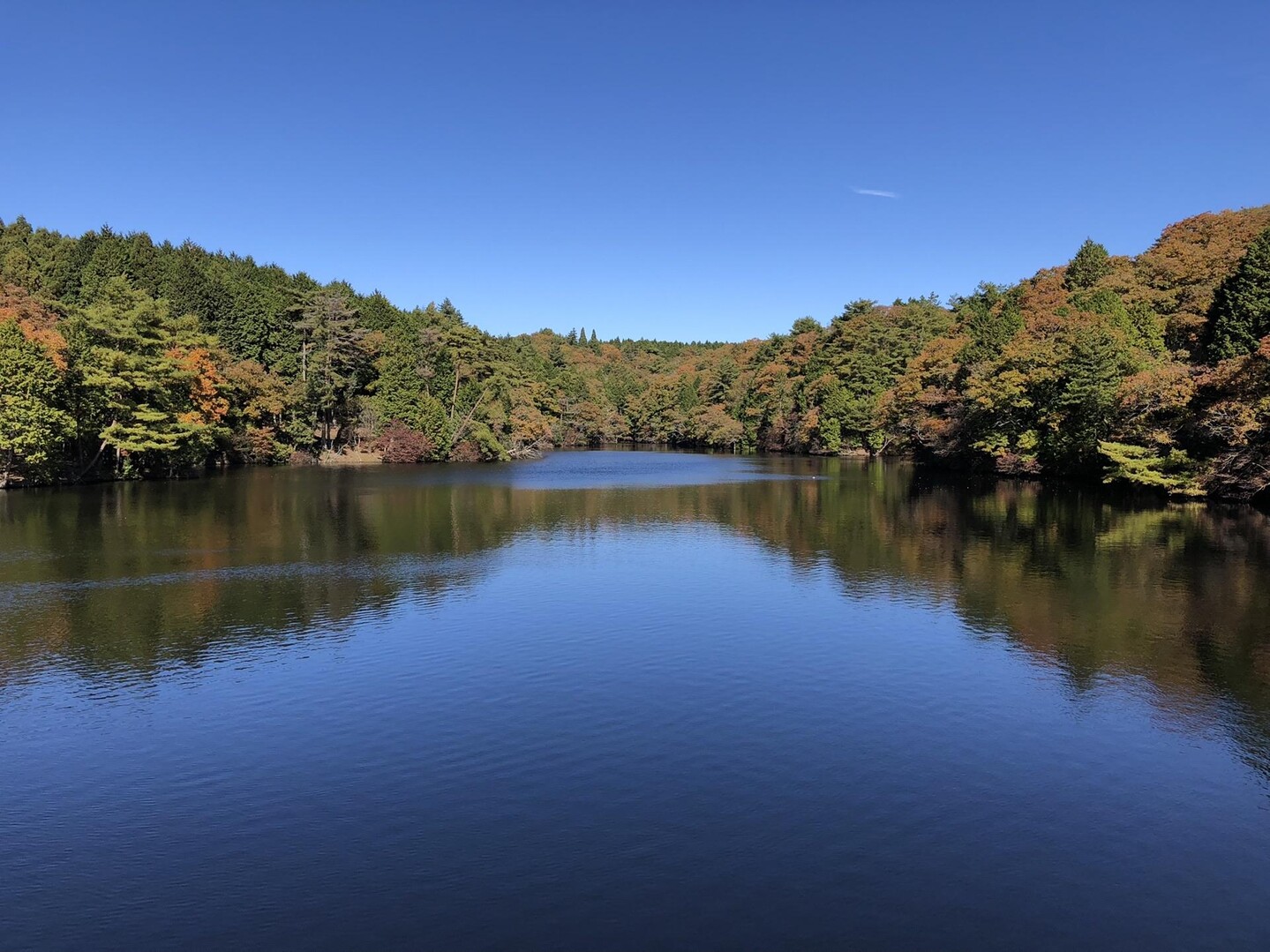 霊山 / pixyさんの霊山・西教山の活動データ | YAMAP / ヤマップ