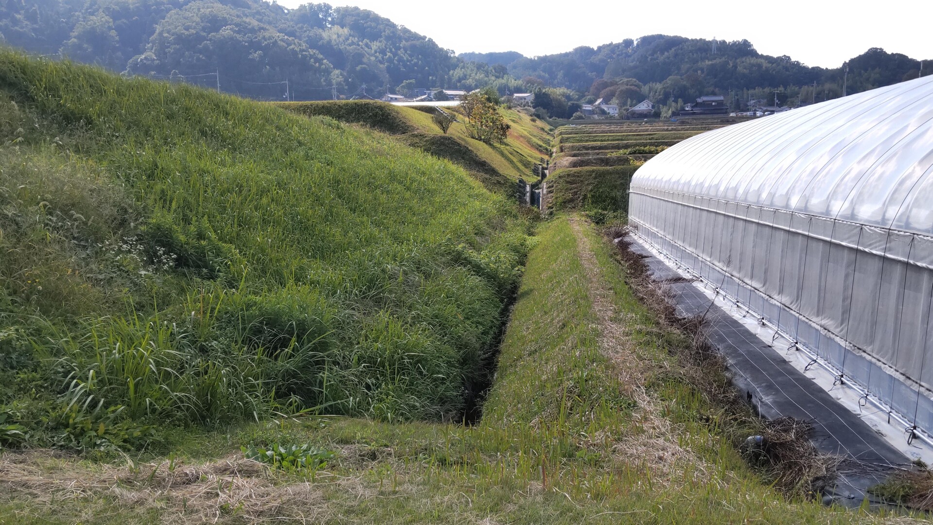穂谷.天王.尊延寺.薪狐谷 山里歩きとSW山へ軌跡を繋げに.. / トシ97さんの交野山・国見山の活動日記 | YAMAP / ヤマップ